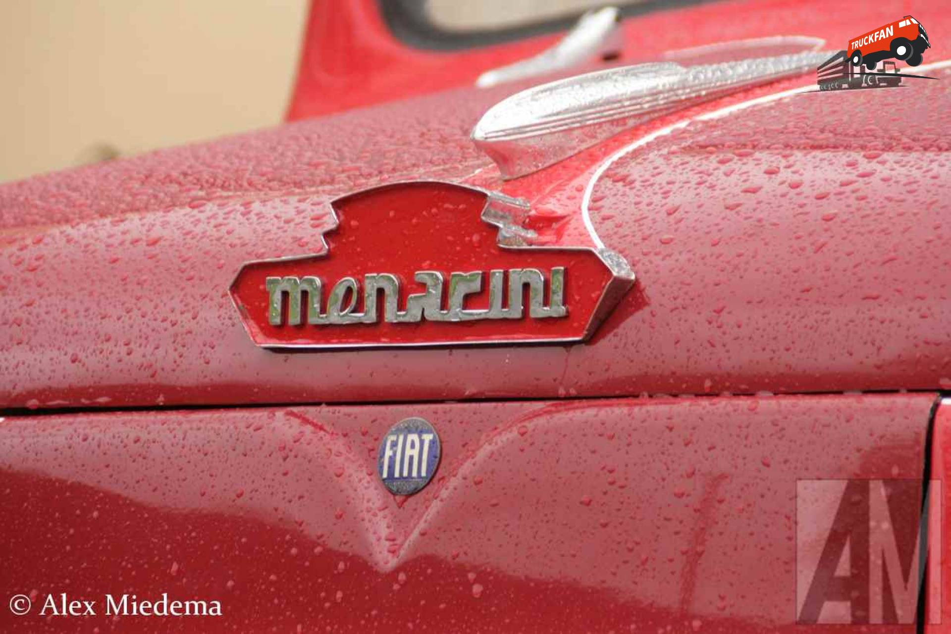 Menarini logo Specificaties - Alle Technische Gegevens