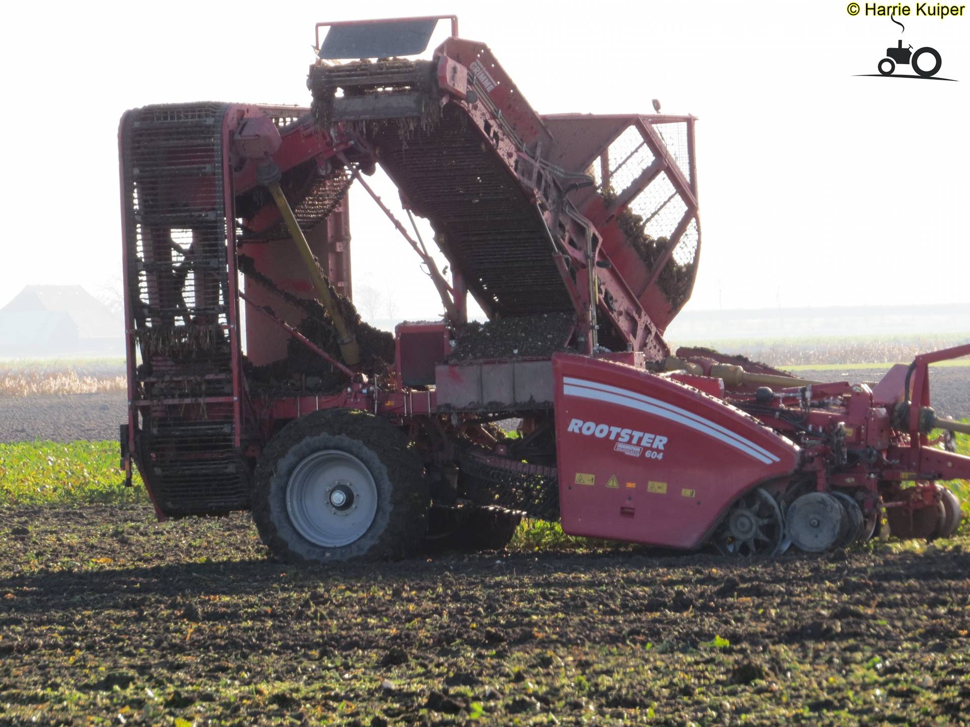 Foto Grimme Rootster #1128187