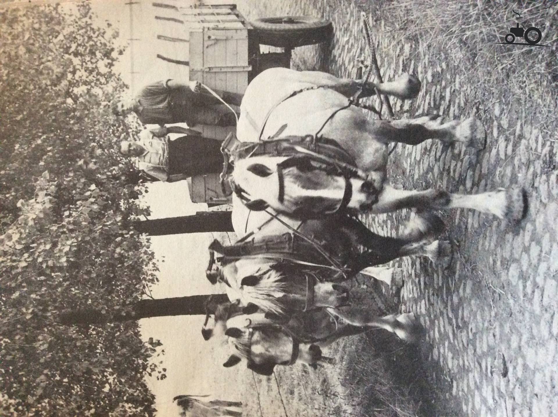 Foto Onbekend foto - - #1415334