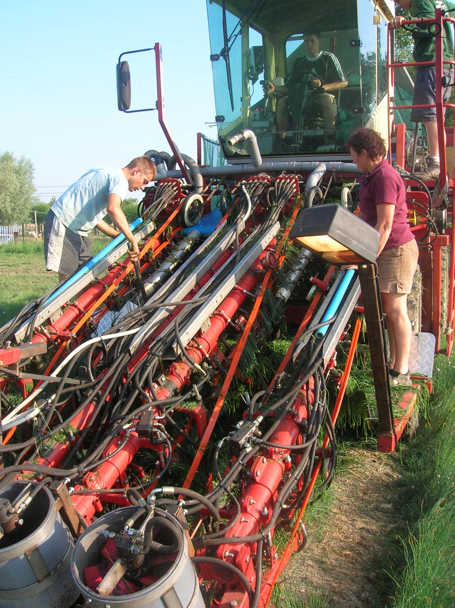 Simon Bieslookrooier - Recente updates