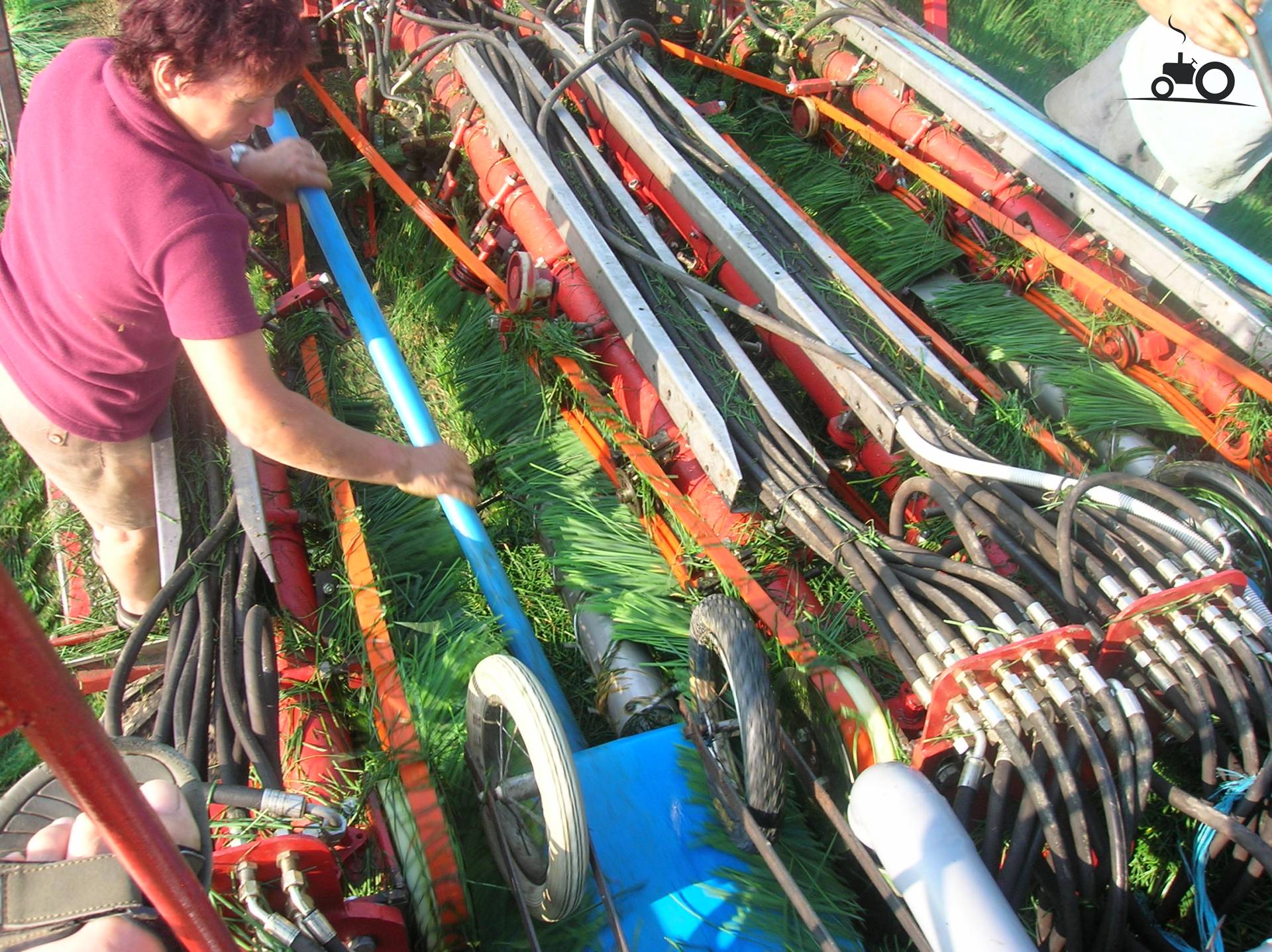 Simon Bieslookrooier - Recente updates