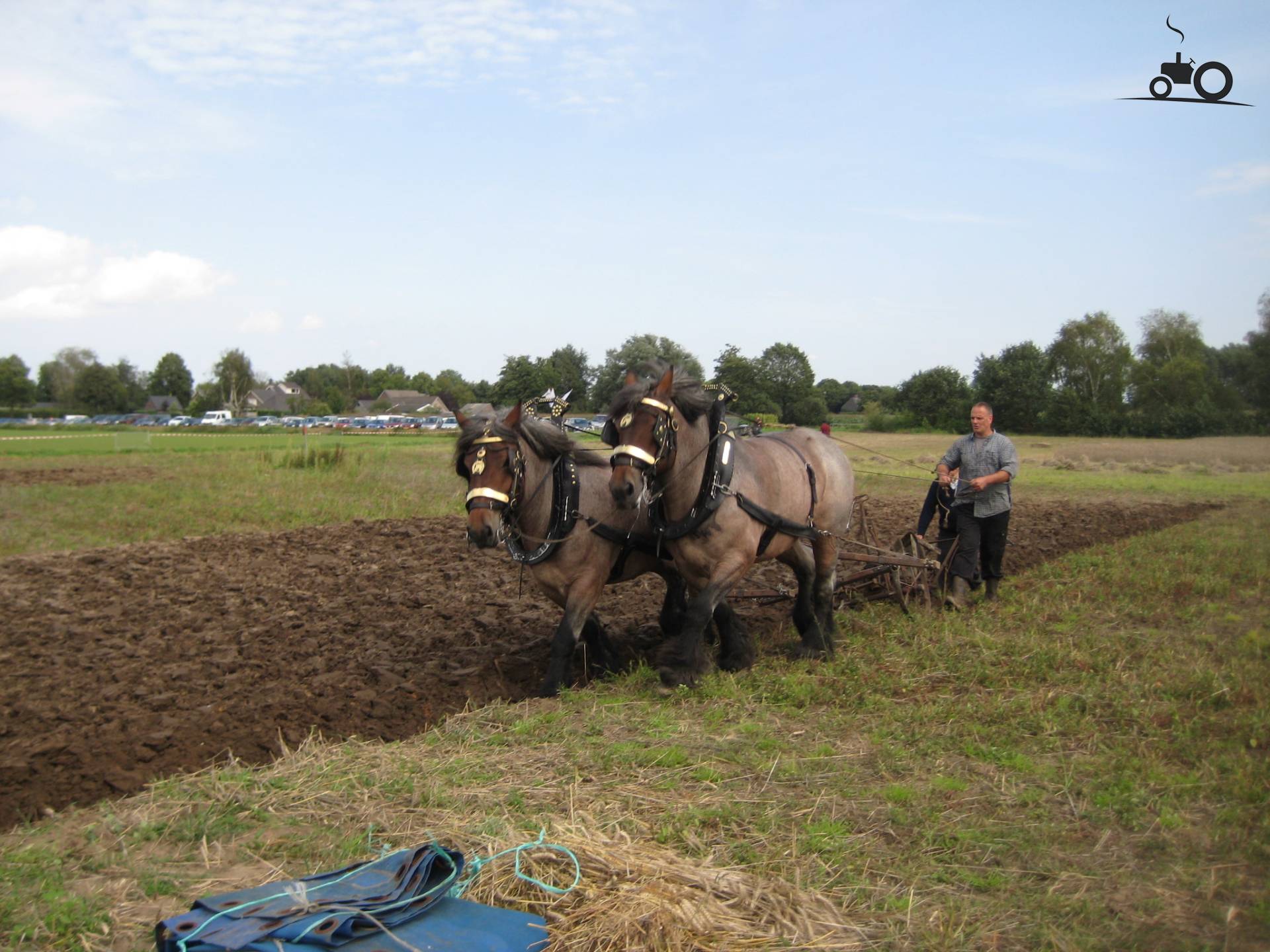 Foto oude doos paard en wagen #532922