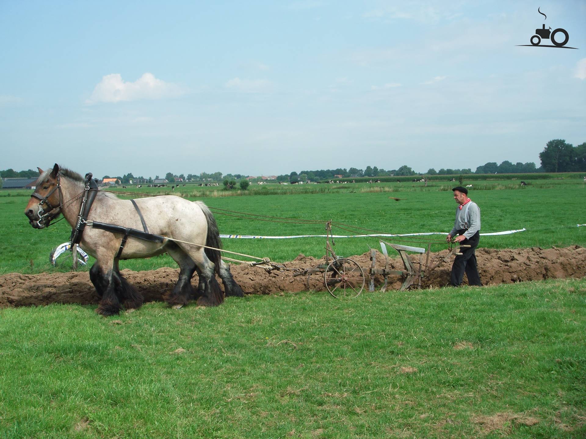 Foto oude doos paard en wagen #670067