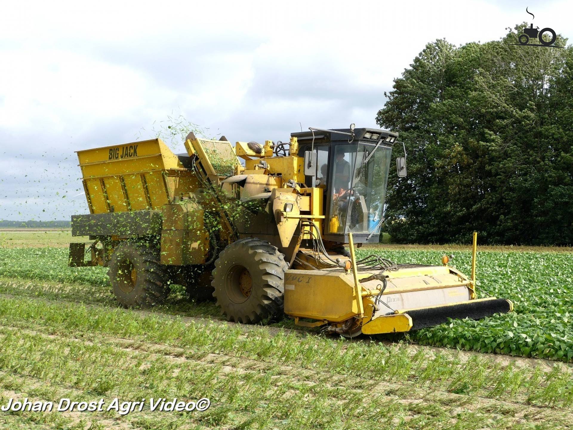 Foto Pixall Big Jack #1448597