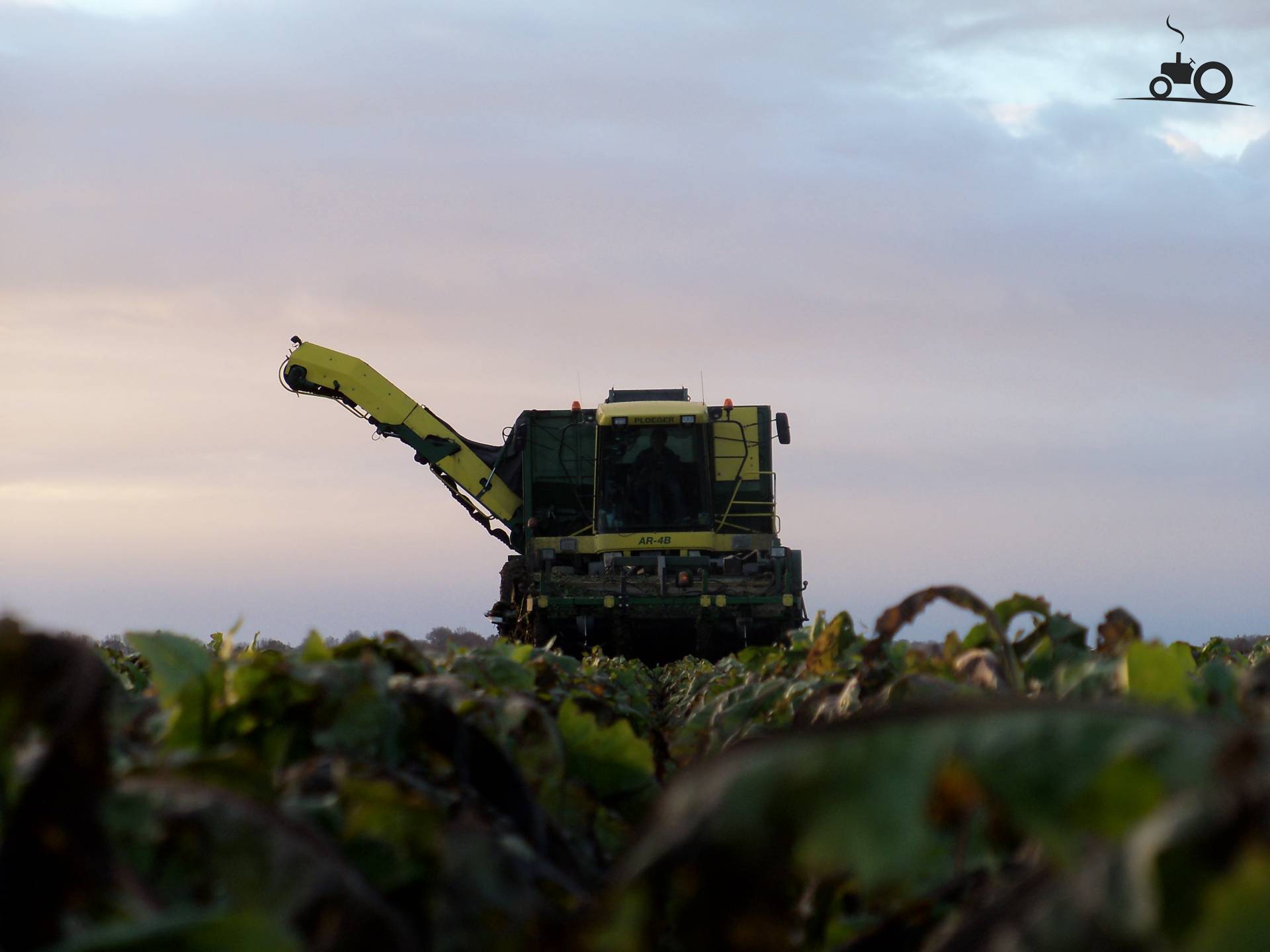 Foto Ploeger rooimachines #812301