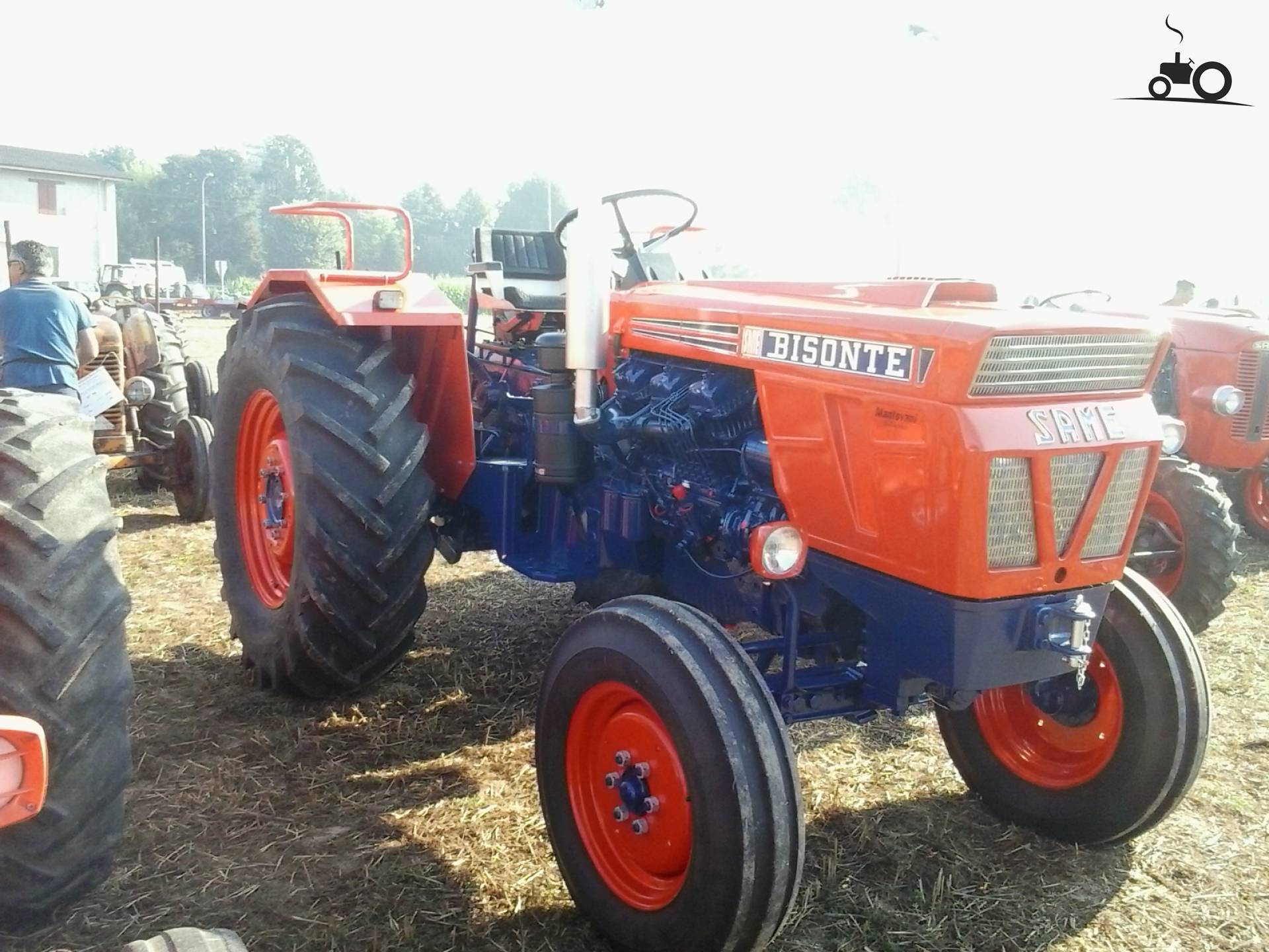 Foto Same buffalo #1131981