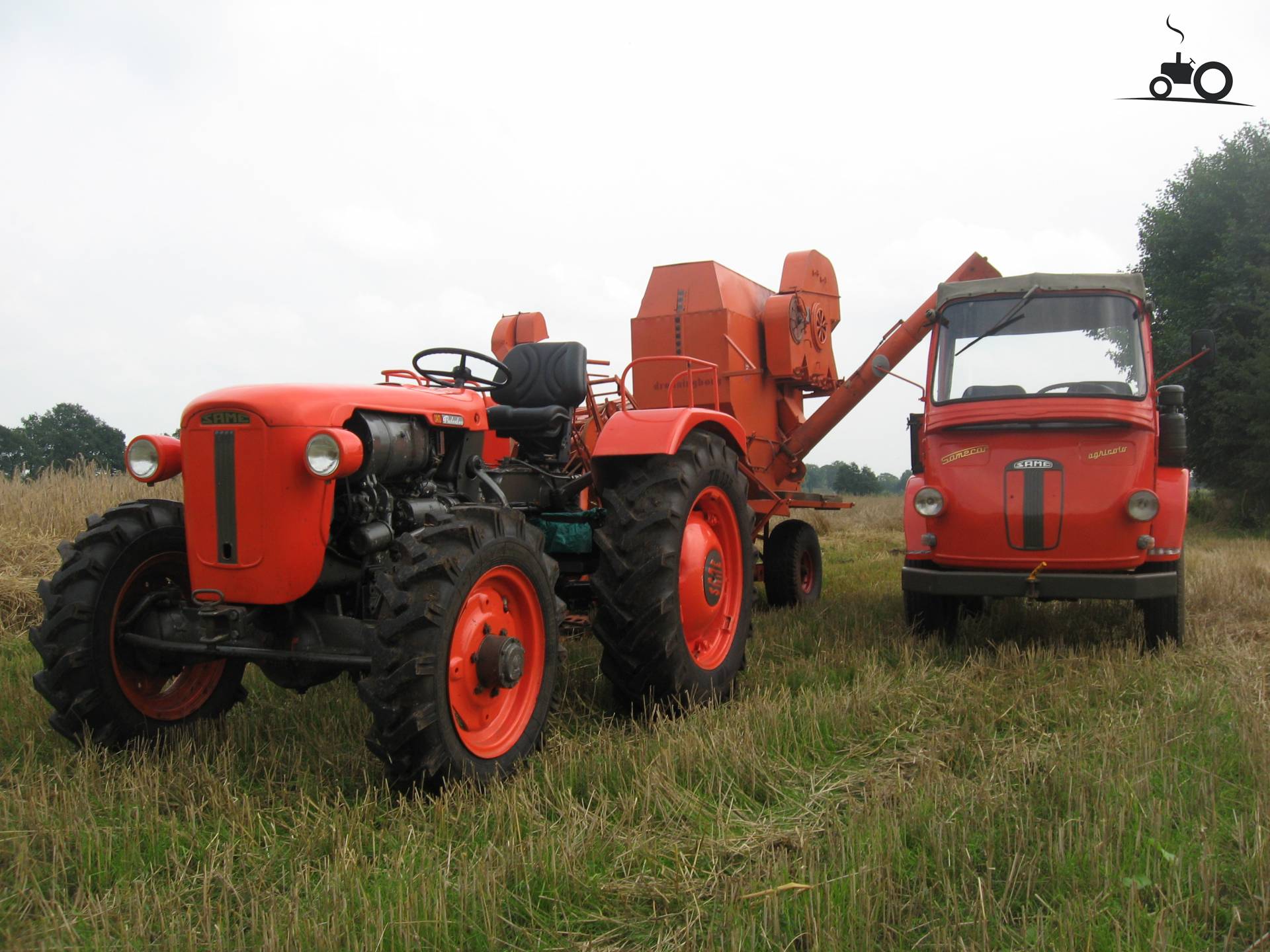 Foto Same Puledro #1137663