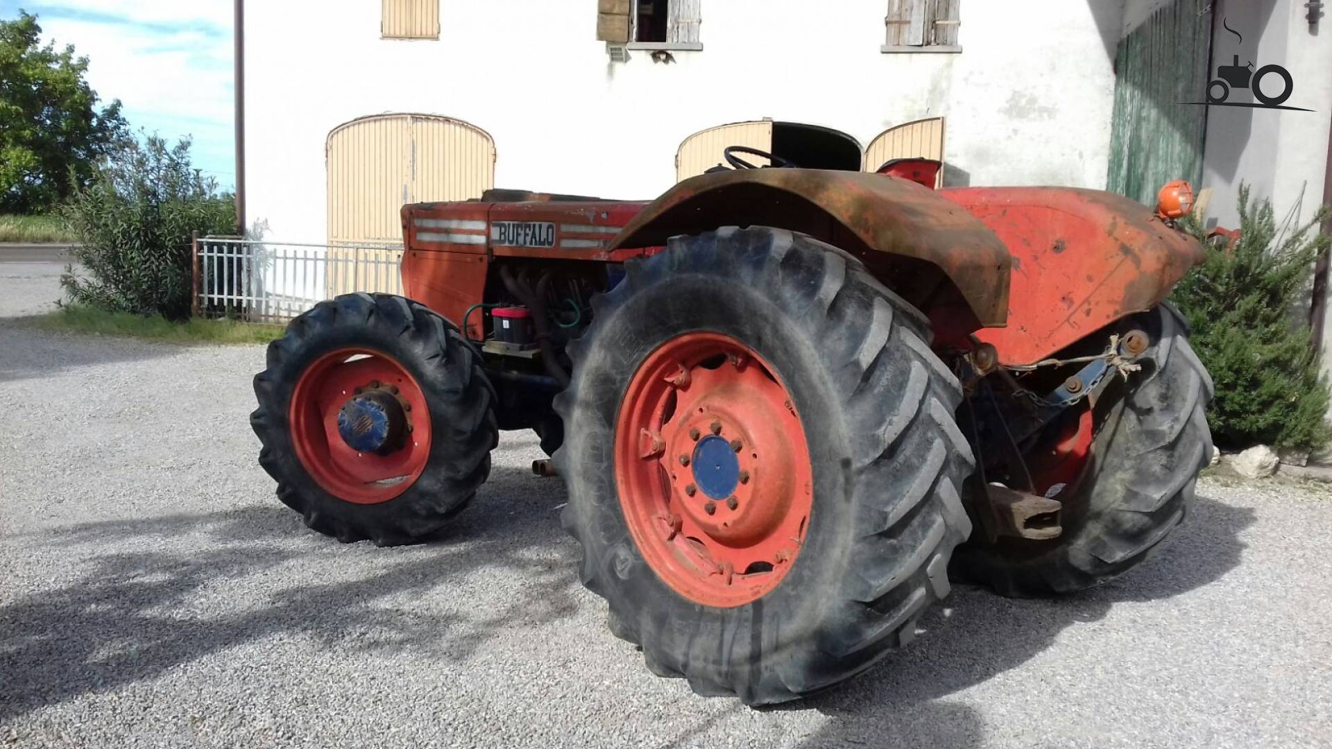 Foto Same buffalo #1230908