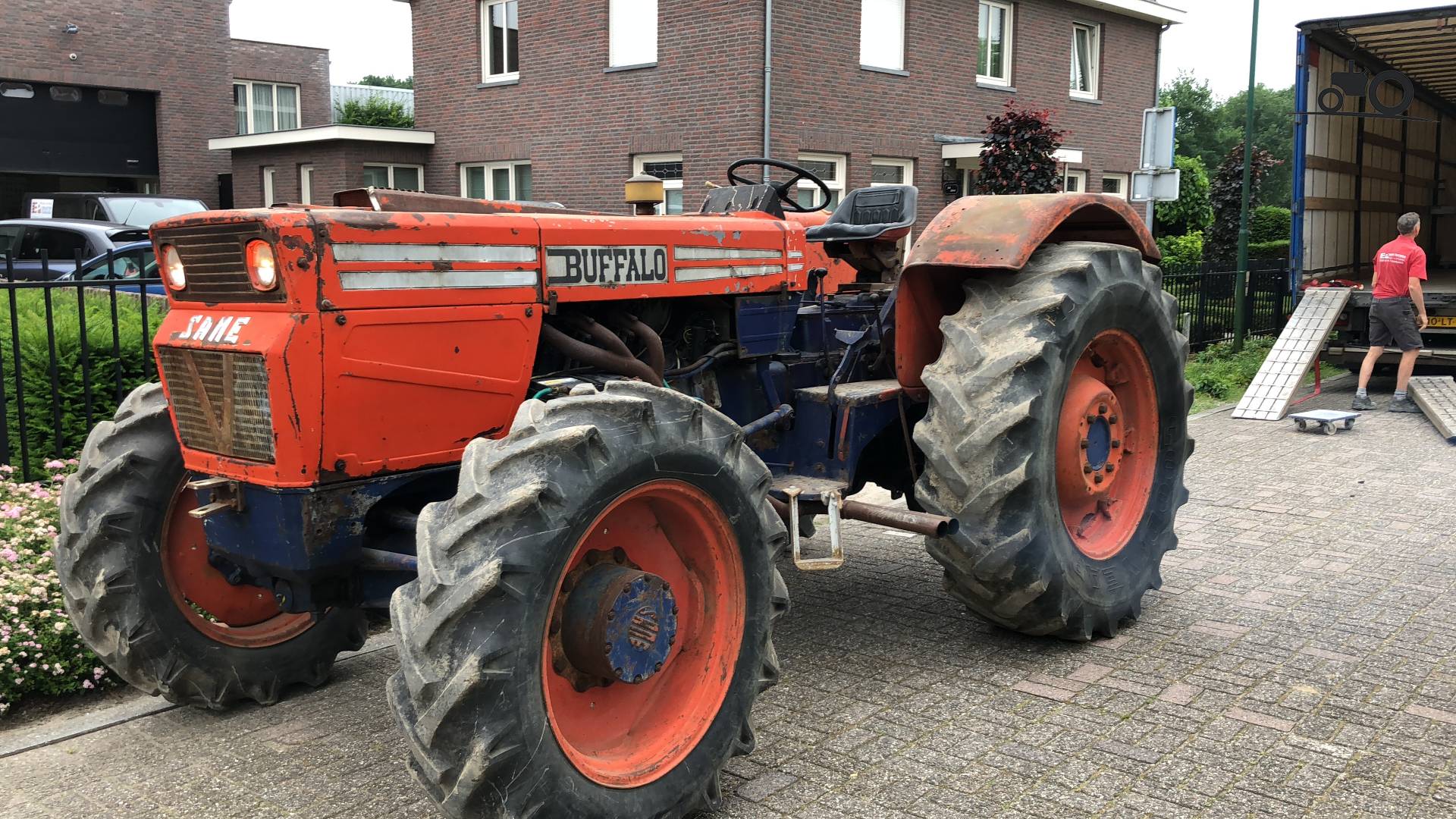 Foto Same buffalo #1234682