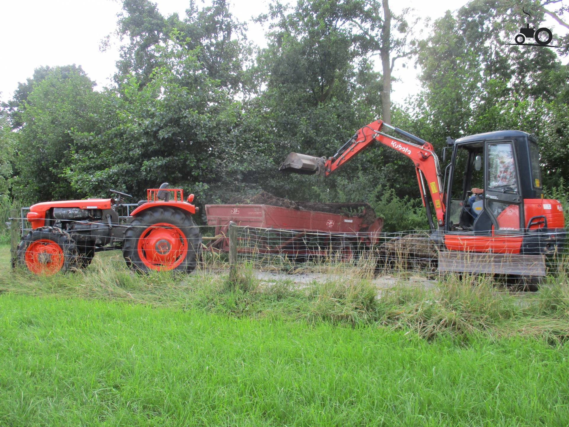 Foto Same Puledro #1308461