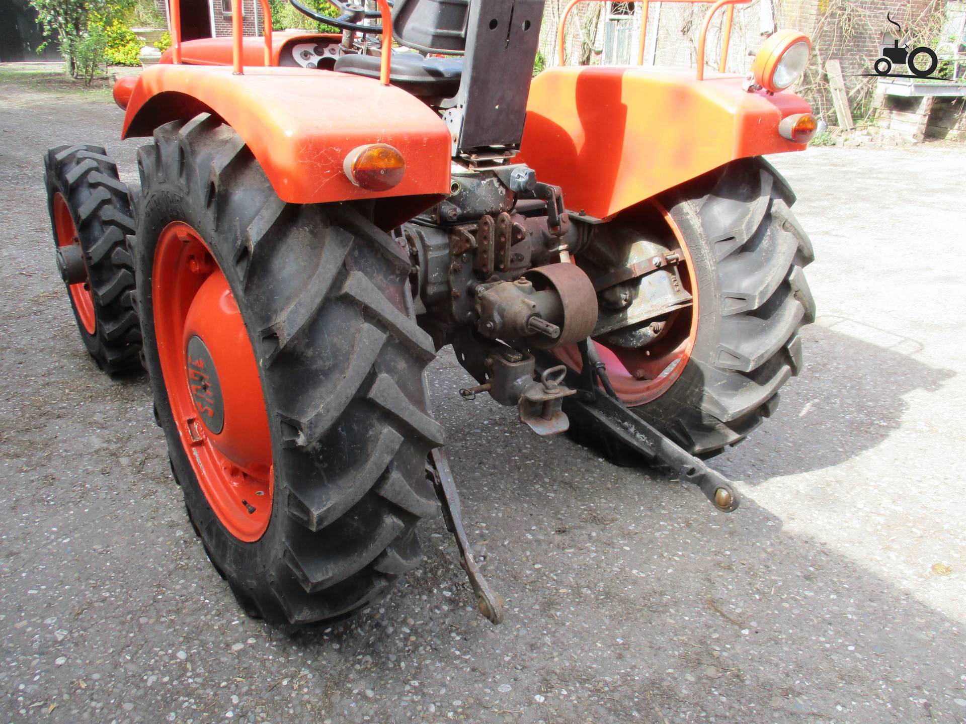 Foto Same Puledro #1345358