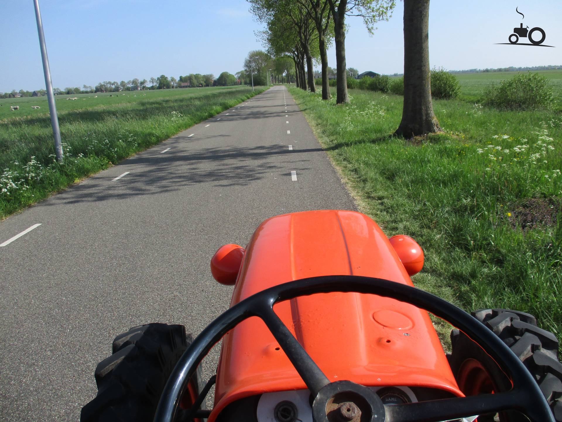 Foto Same Puledro #1347836