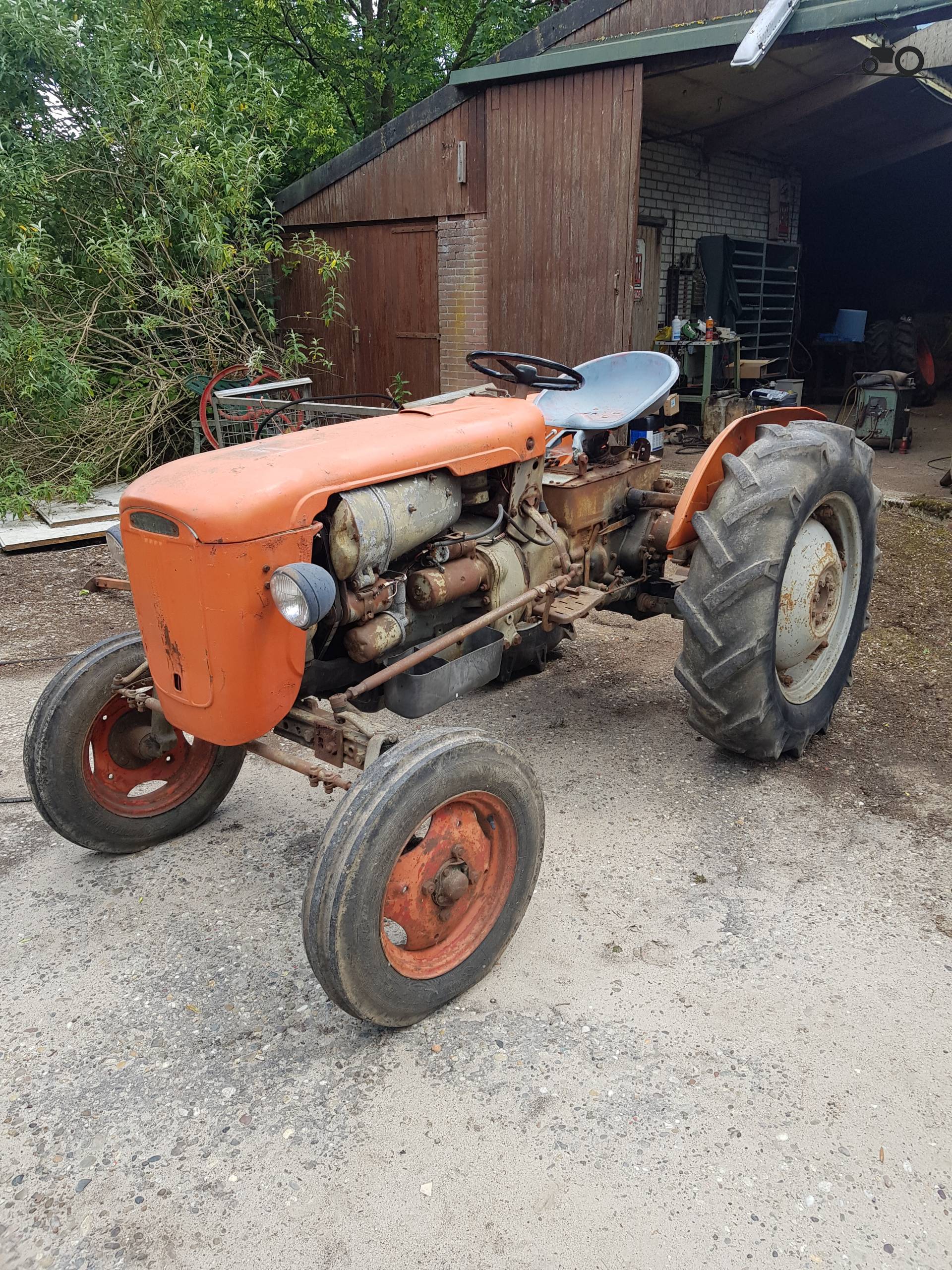 Foto Same Puledro #1355326