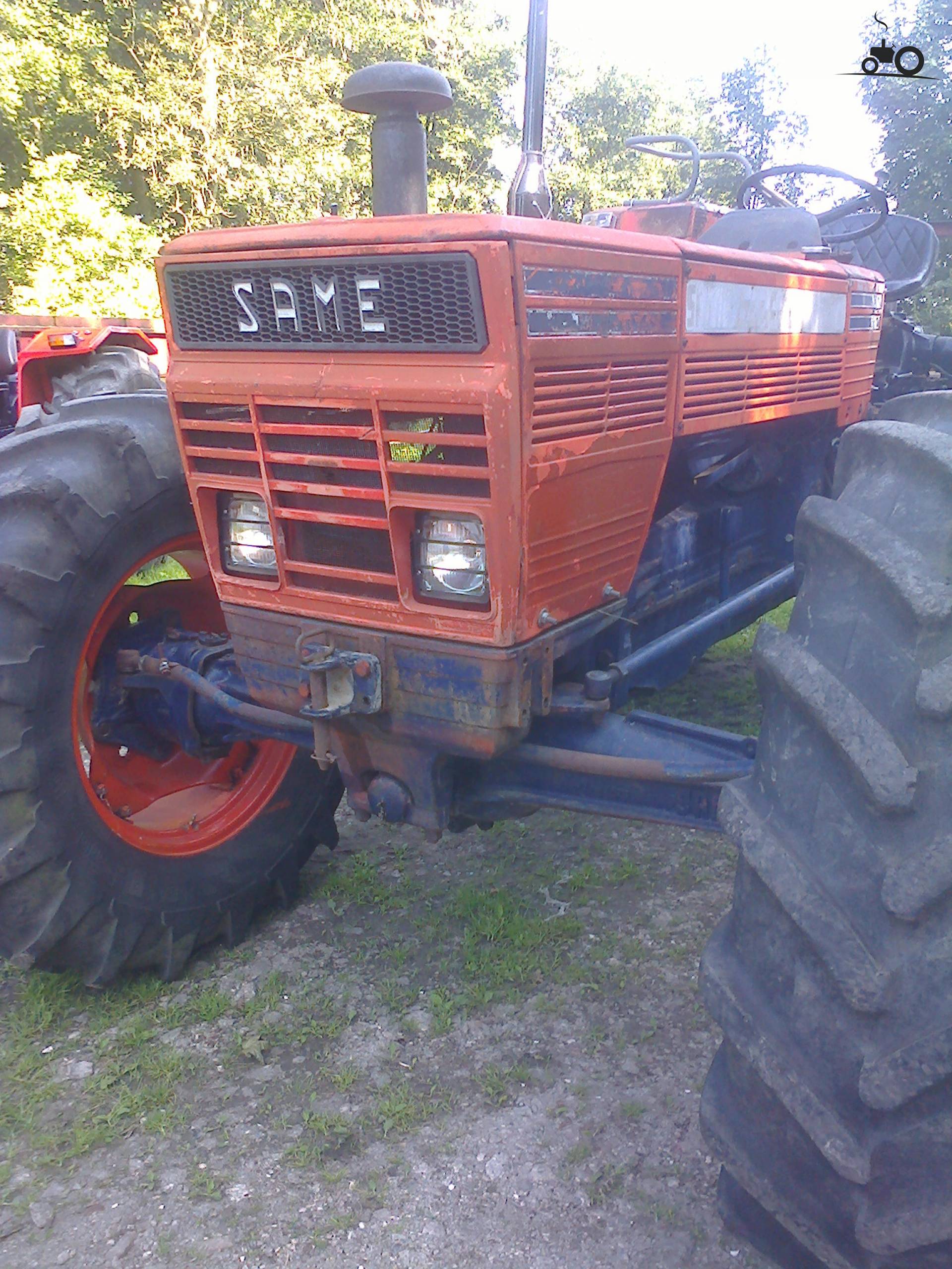 Foto Same buffalo #1434187