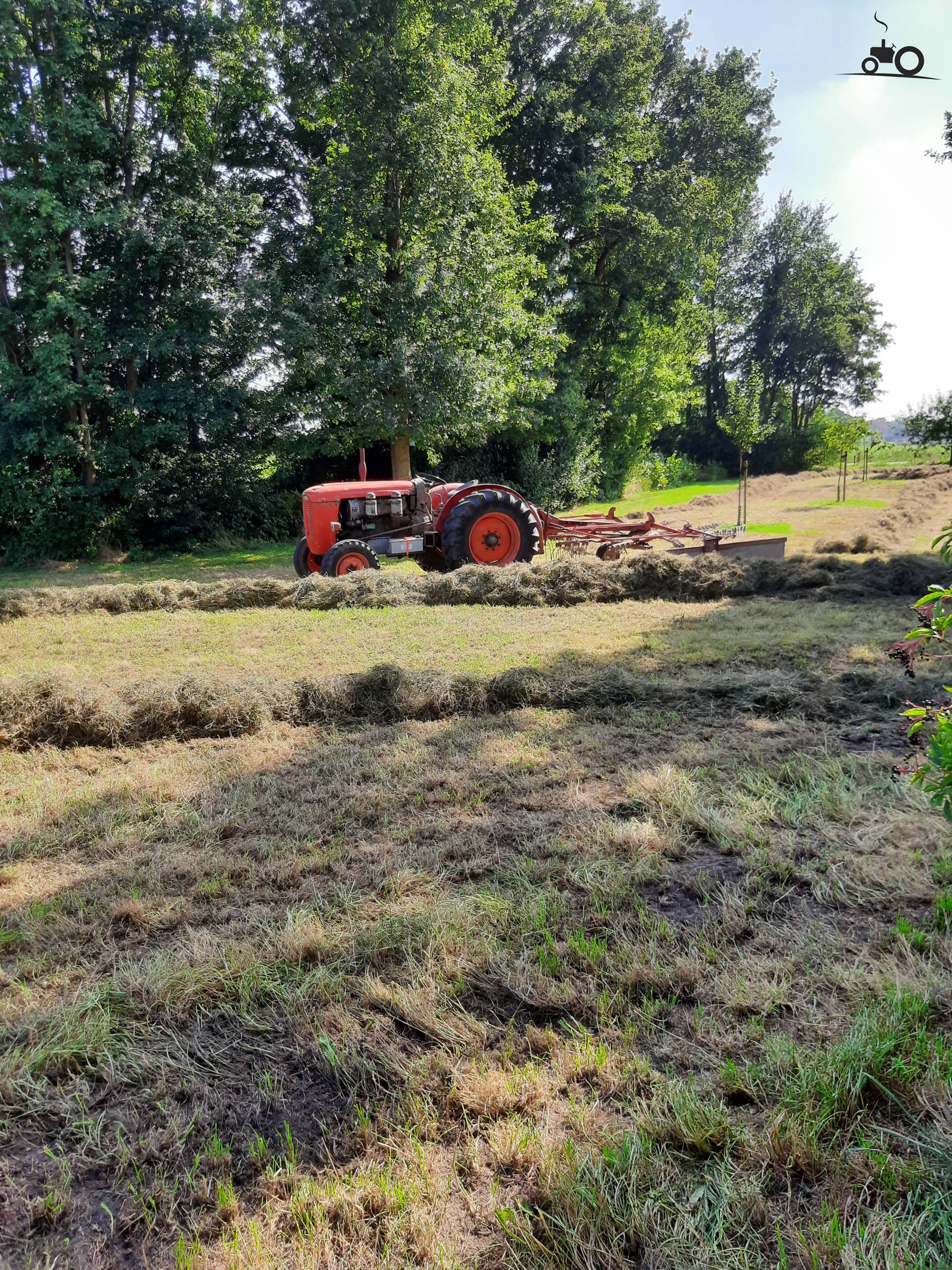 Foto Same 480 #1445735