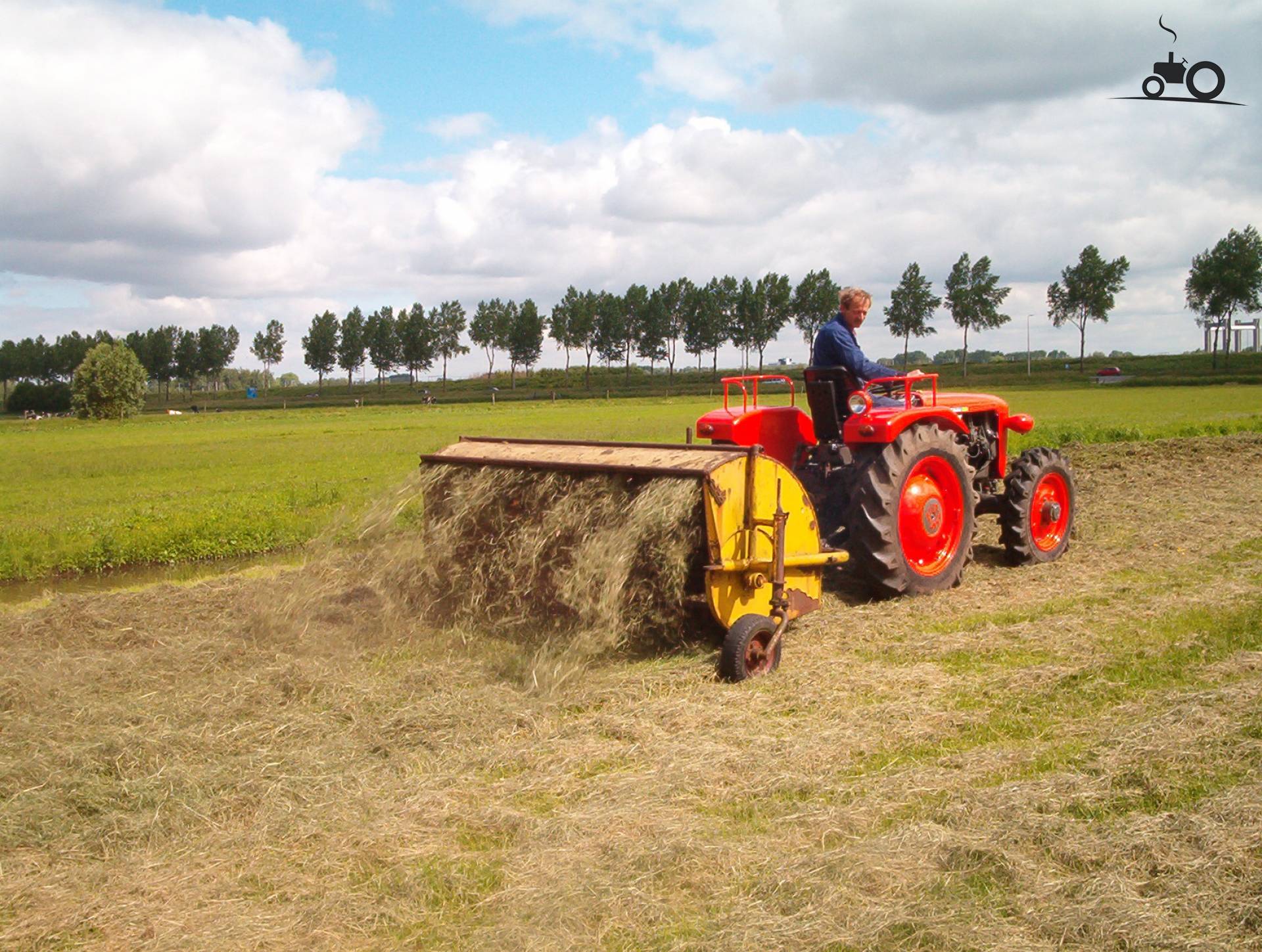 Foto Same Puledro #1457302