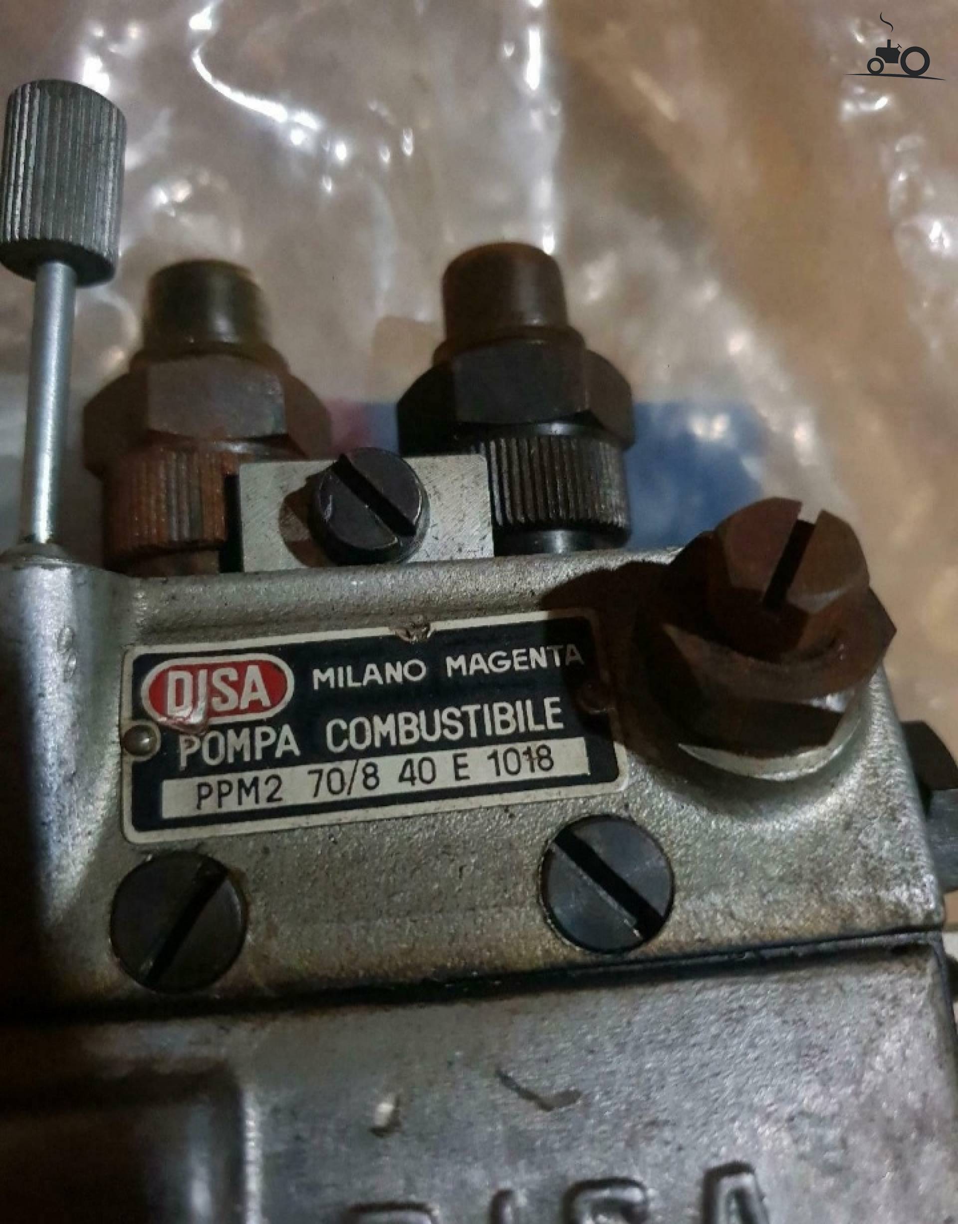 Foto Same Puledro #1460598