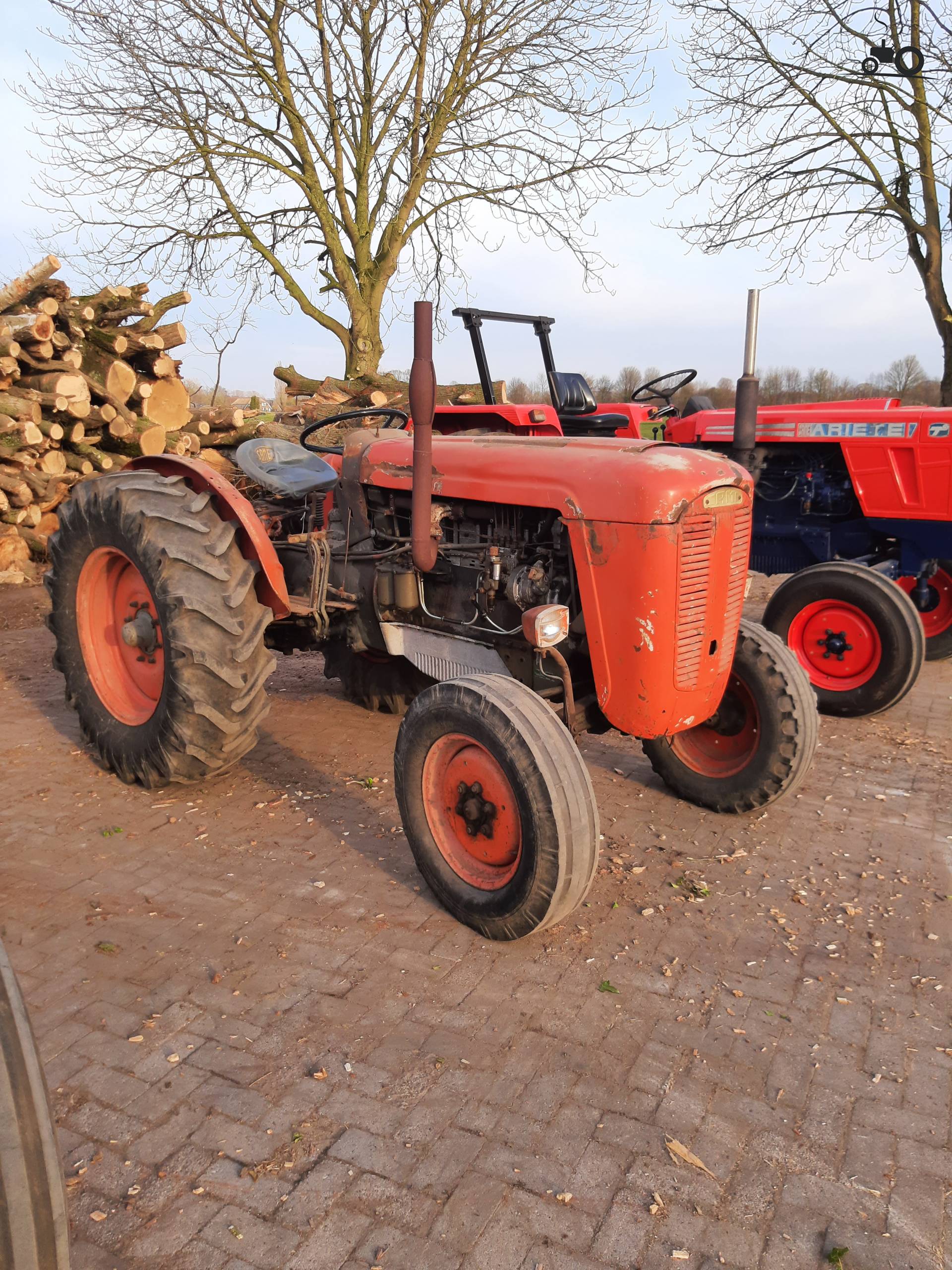 Foto Same 480 #1460967