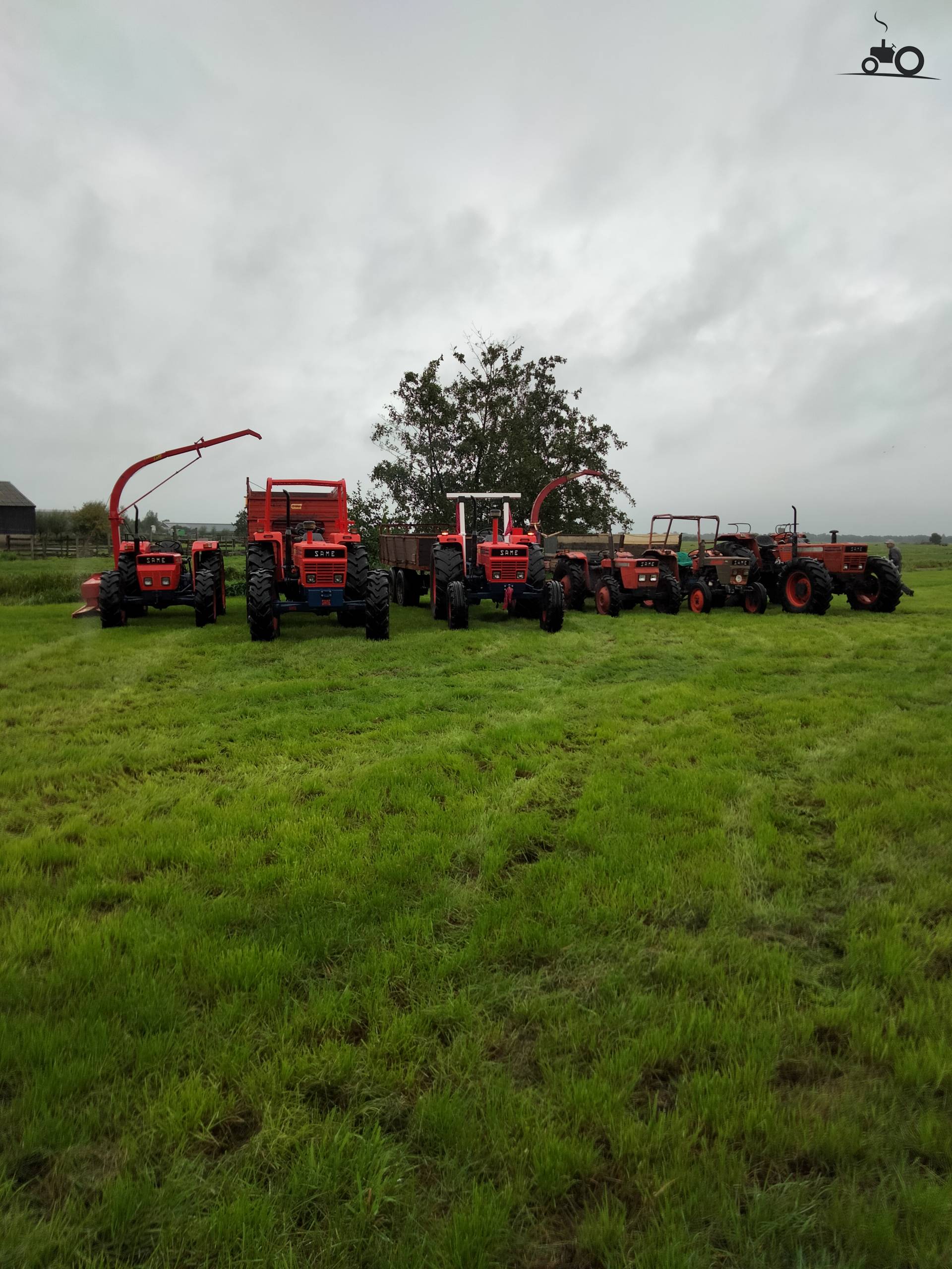 Foto Same Meerdere #1492550