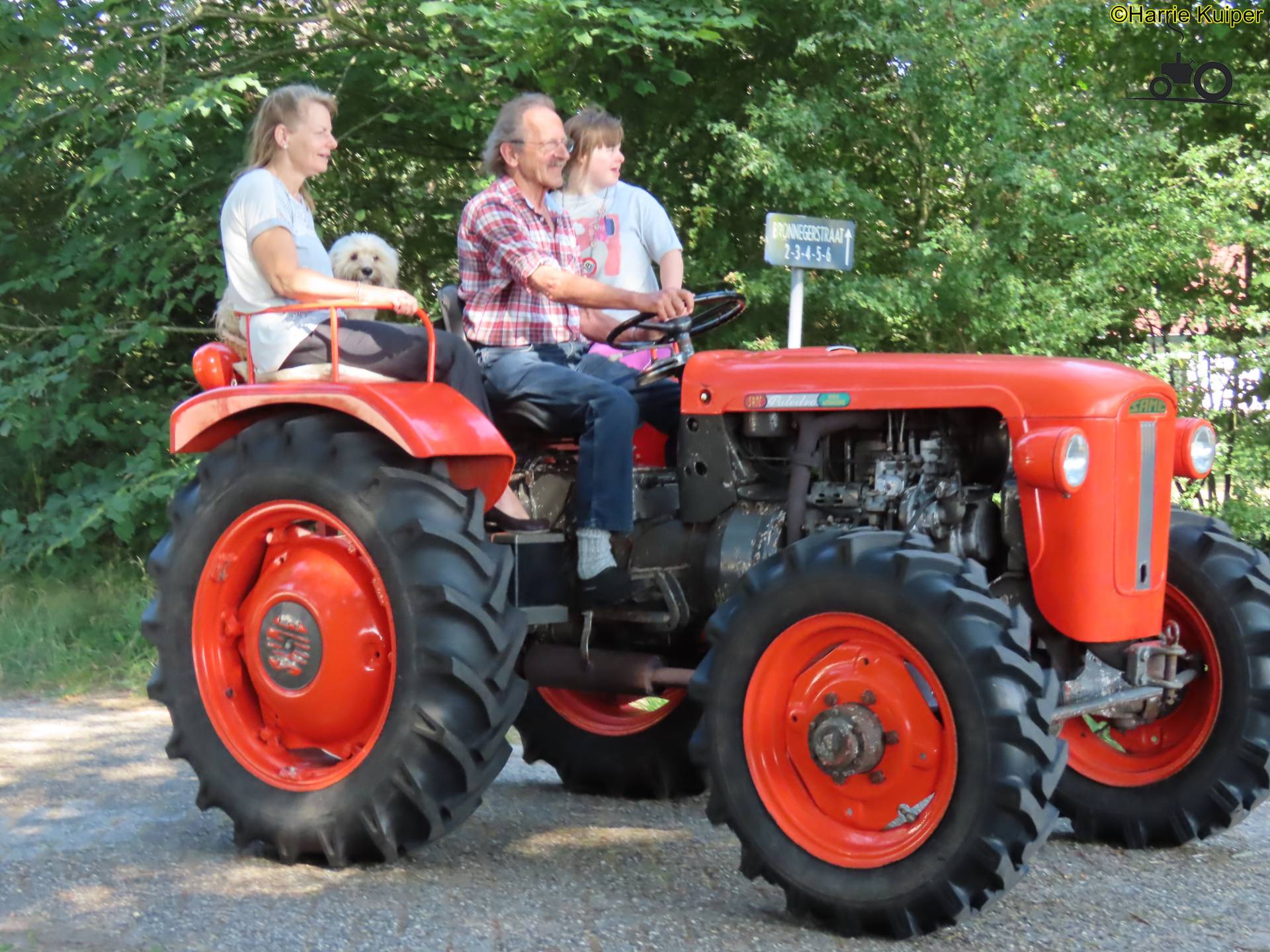 Foto Same Puledro #1498388