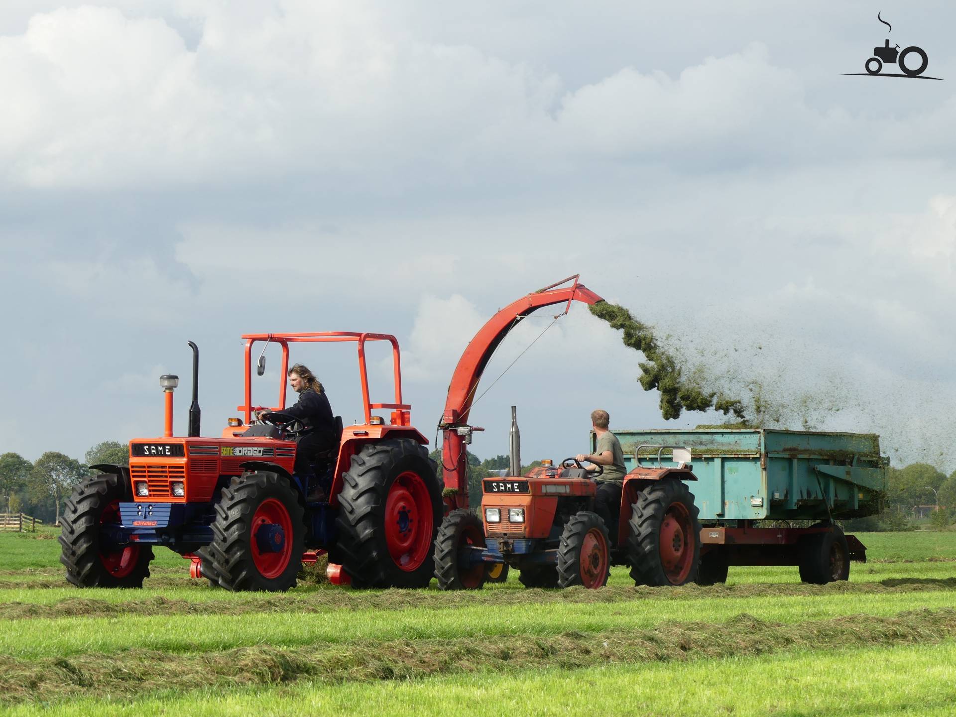 Foto Same Meerdere #1539693