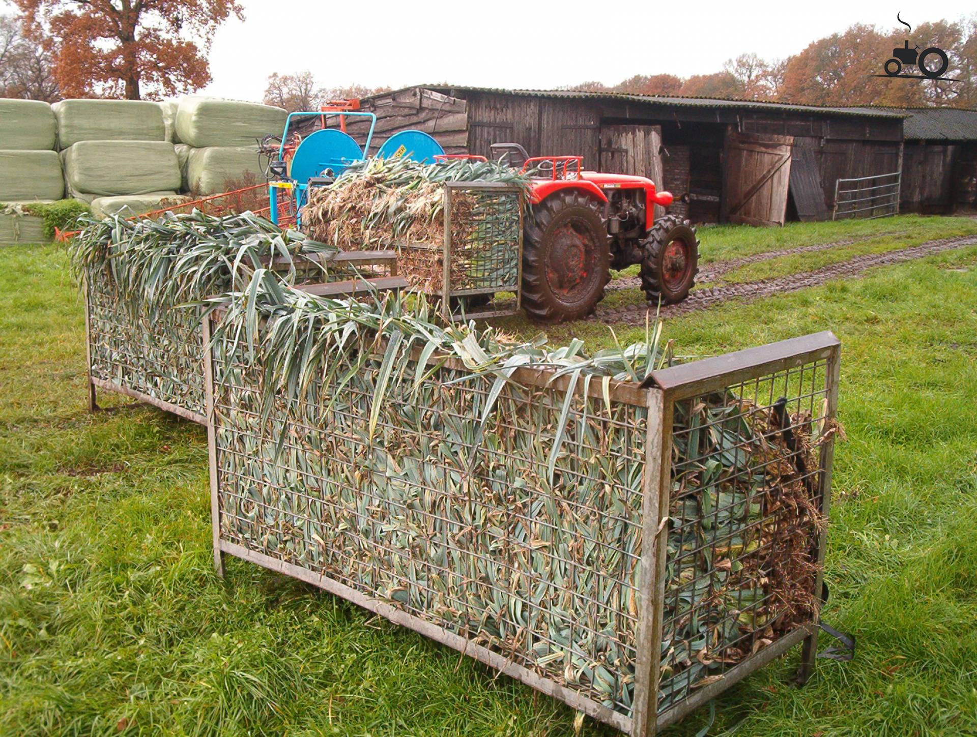 Foto Same Puledro #1548082