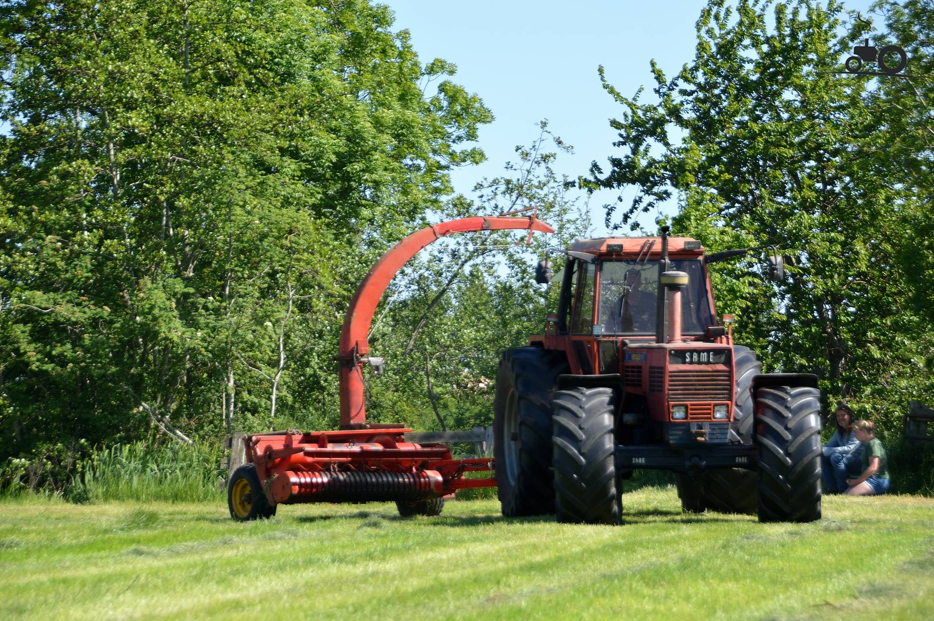 Trekkers kieken - Week 20