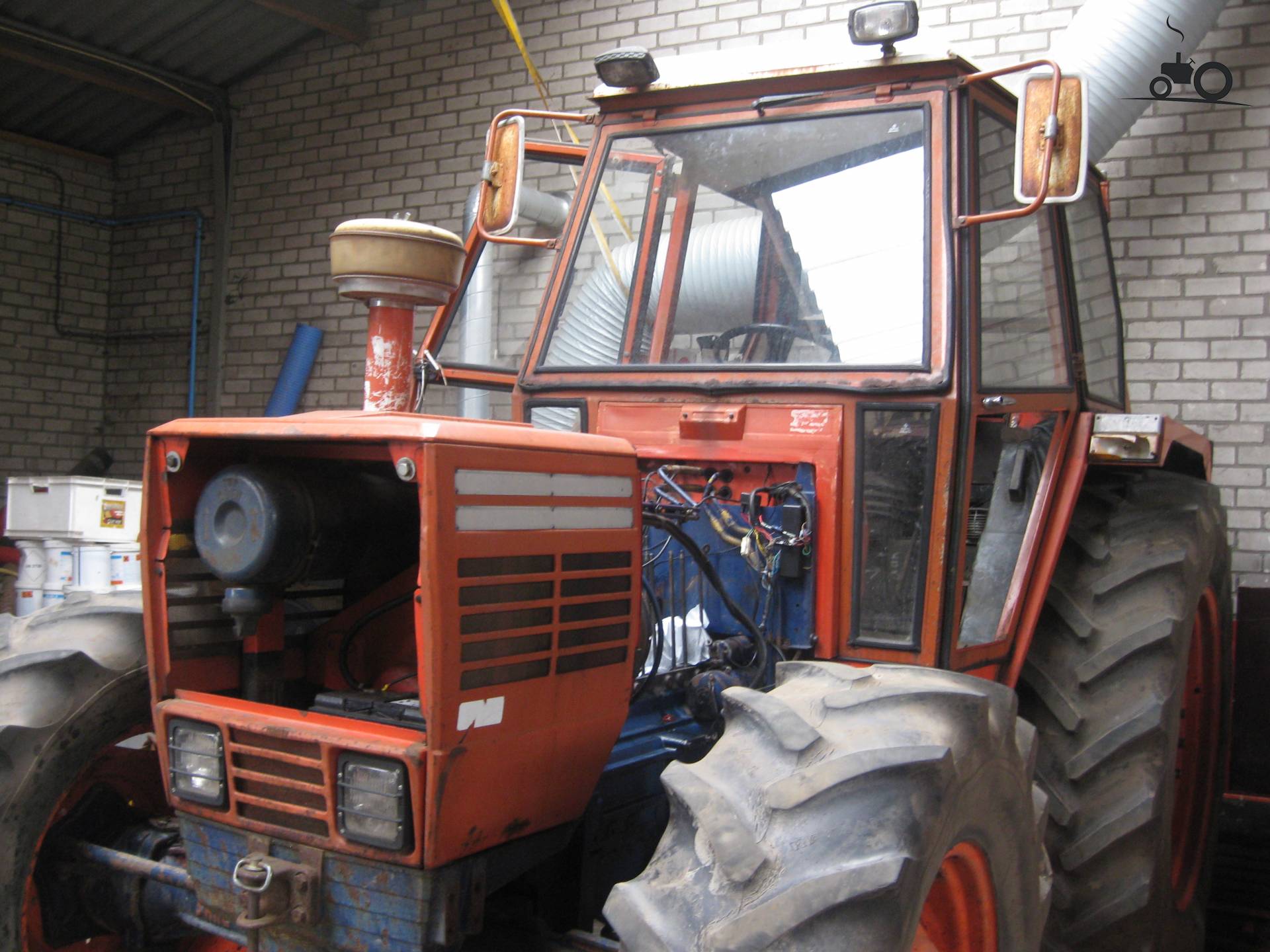 Foto Same leopard 90 #465930