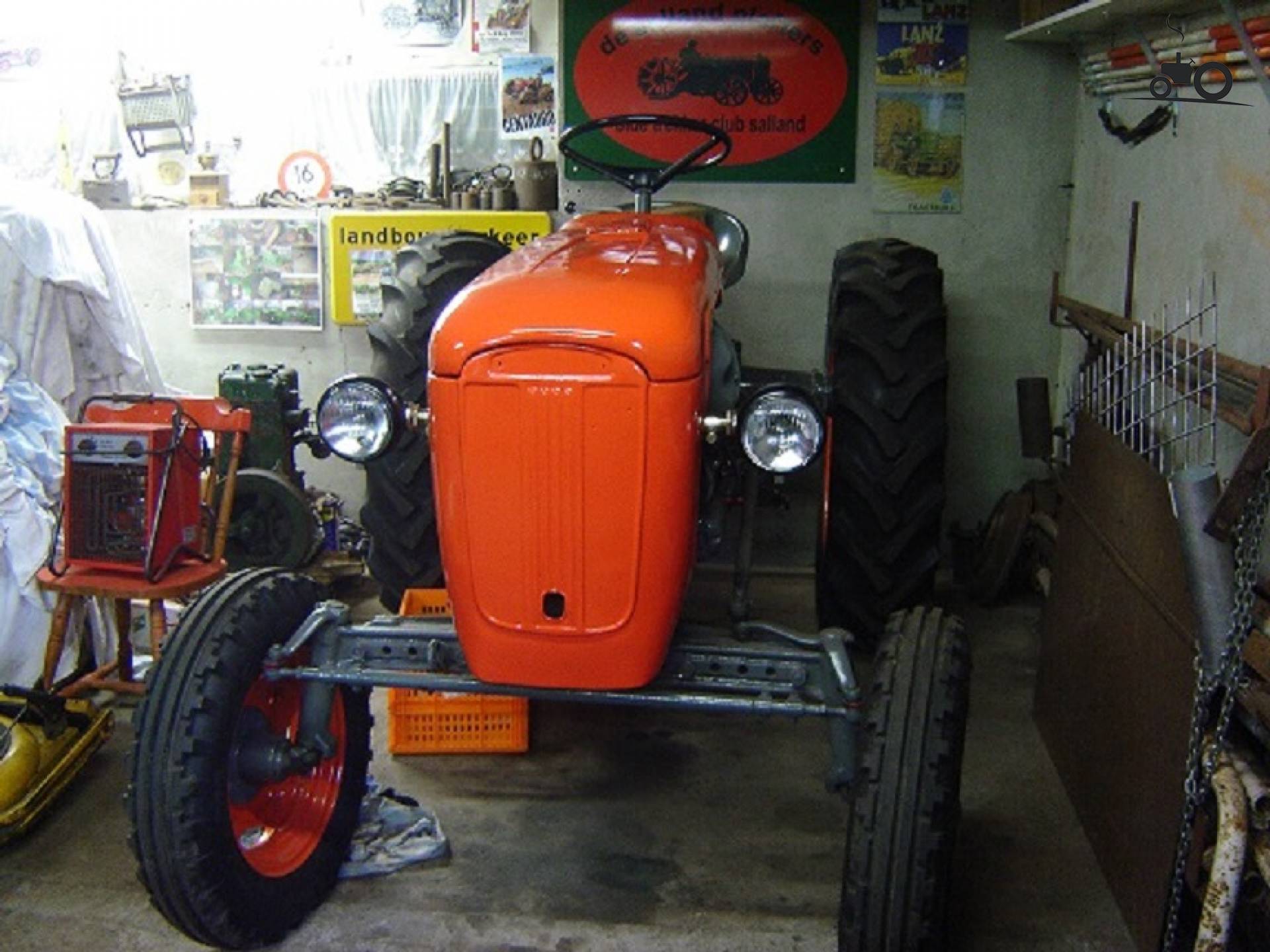 Foto Same Puledro #892704