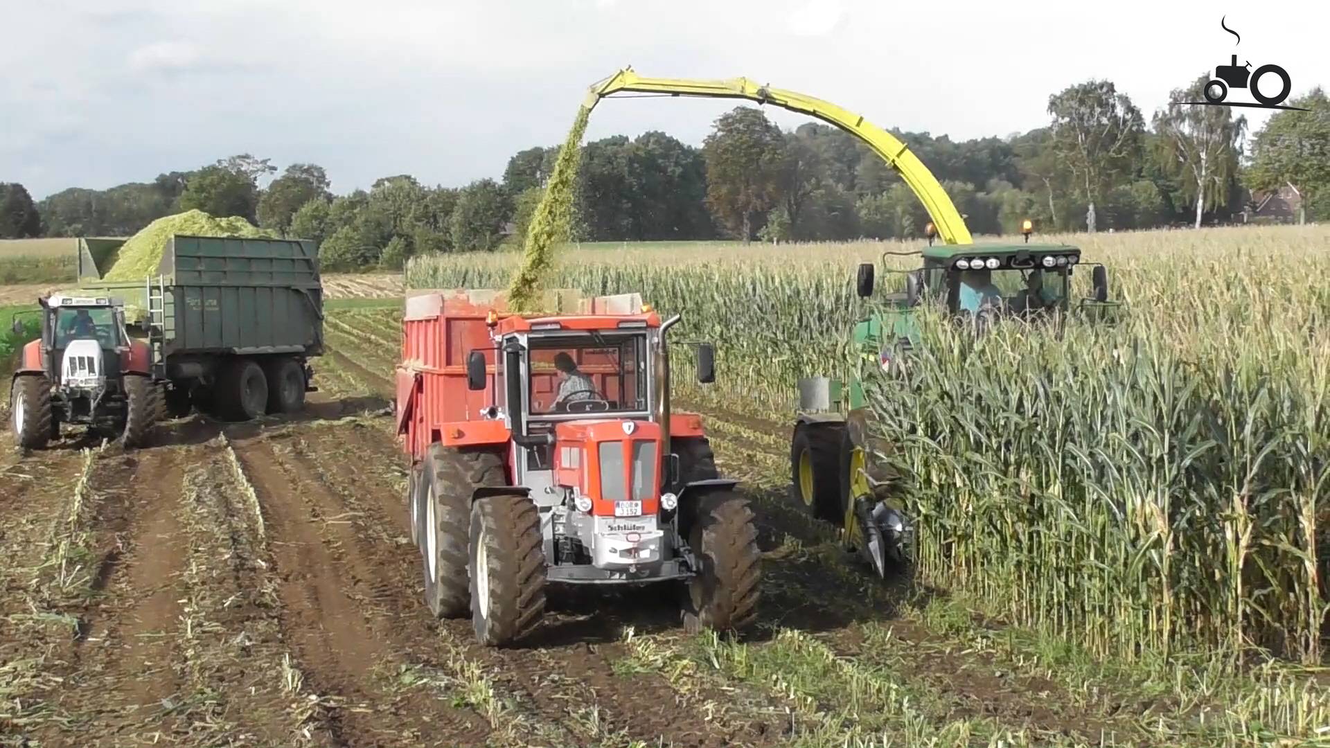 Foto Schlüter Super 2000 TVL #1194205