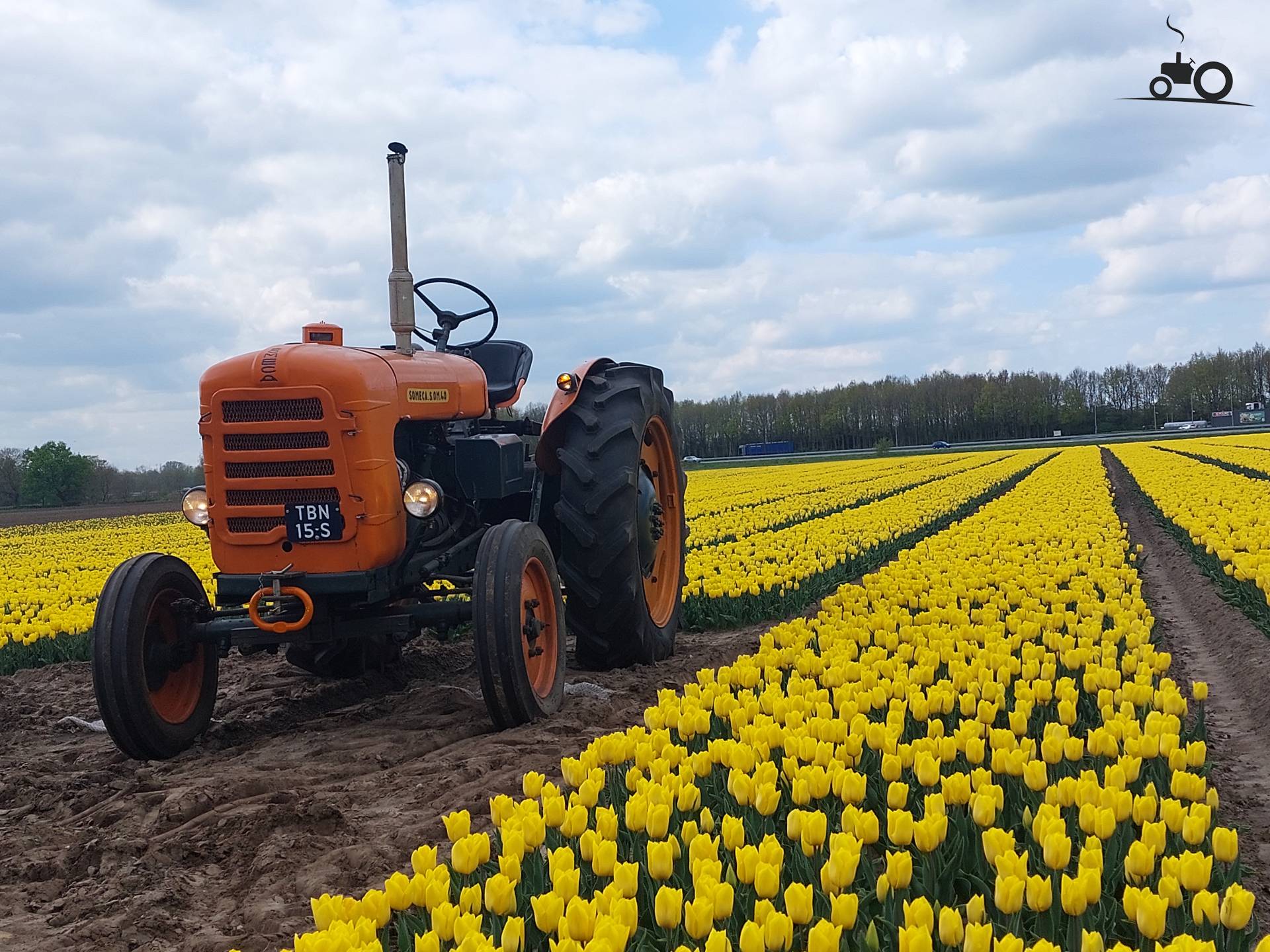 Foto Someca som 40 #1469278