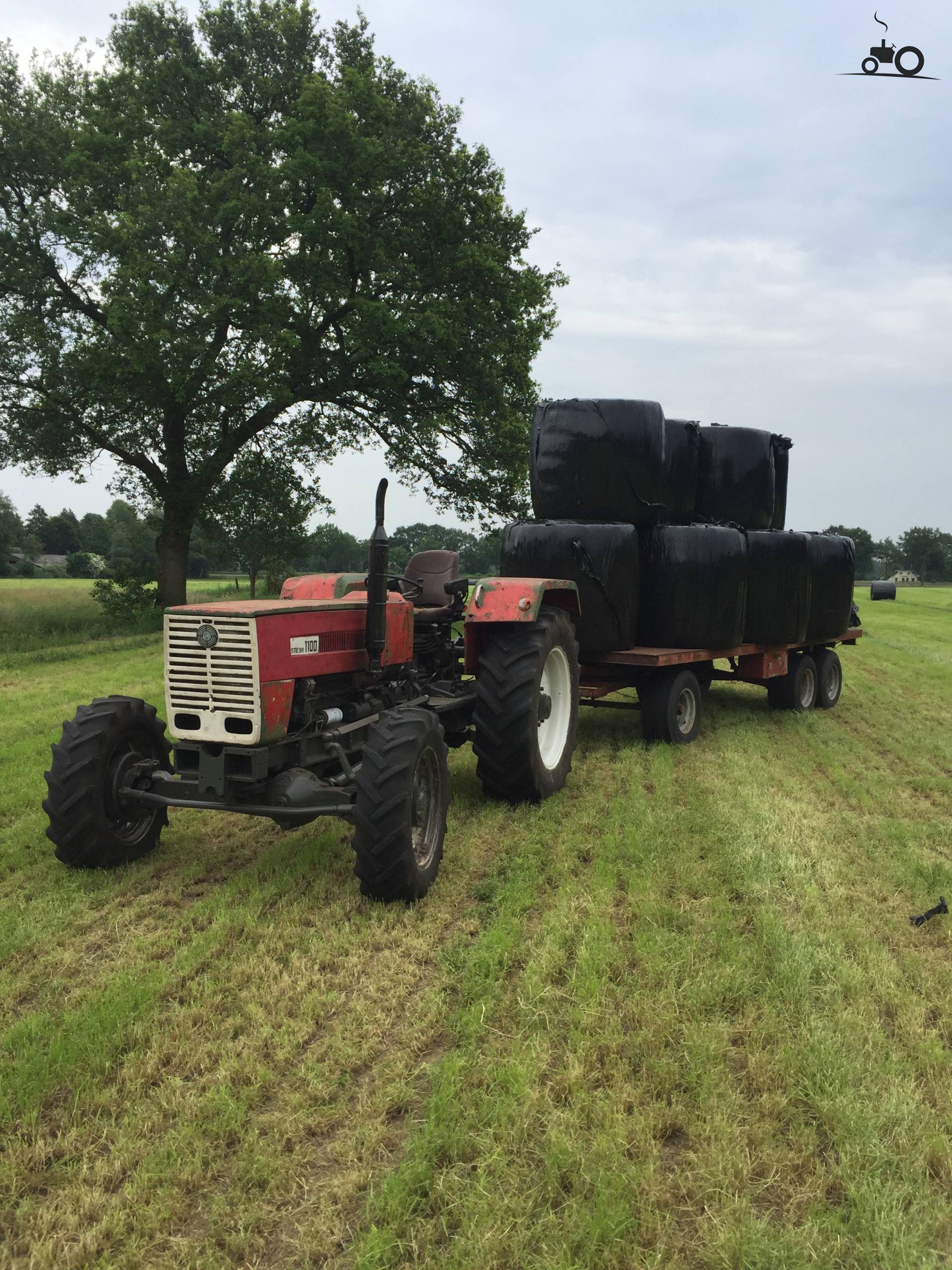 Foto Steyr 1100 #1235001