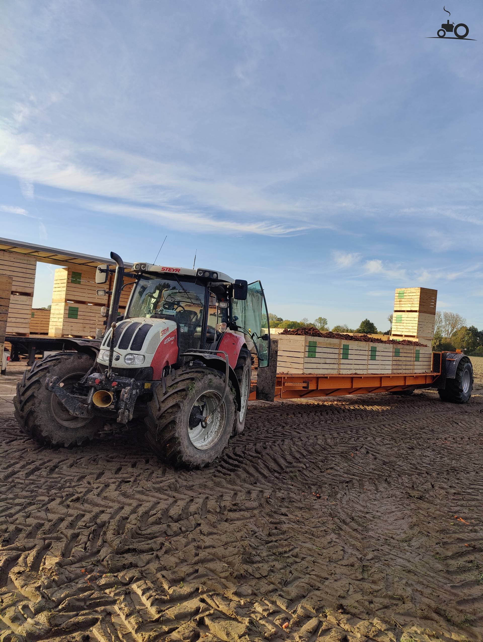 Wortels rijden met een Steyr Profi 4130