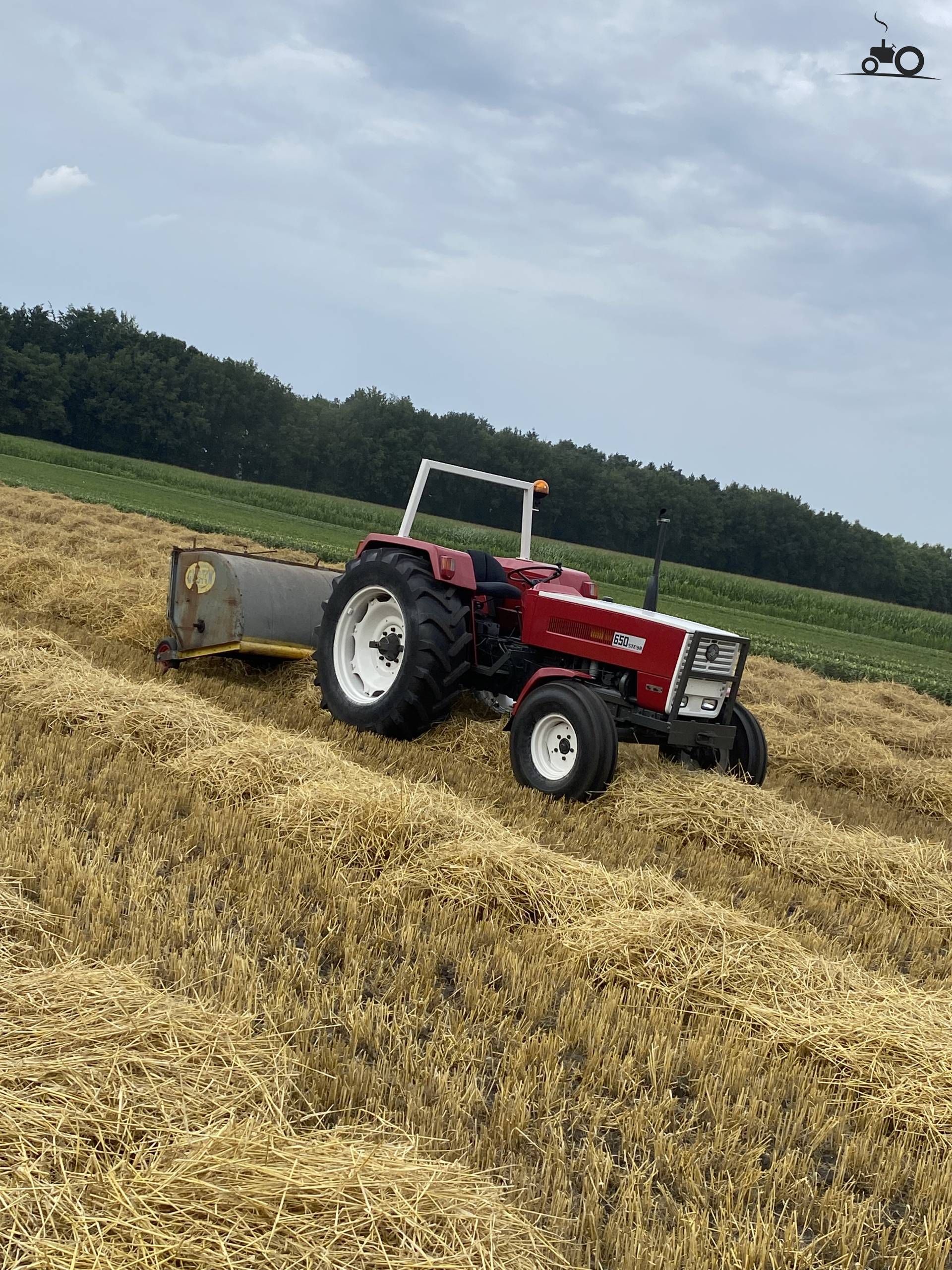 Steyr 650 - Schweiz - Traktor foto #1501850