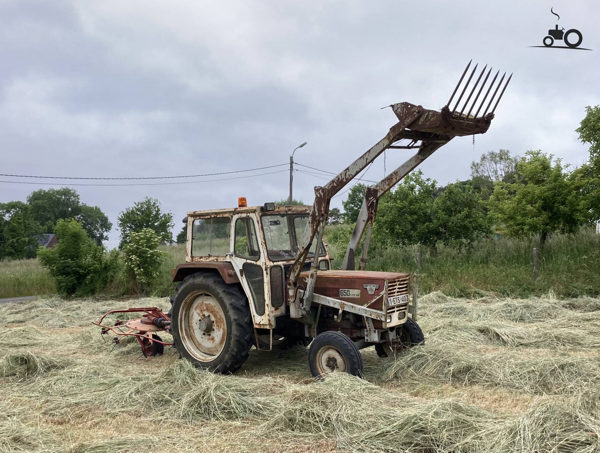 Steyr 650 - Schweiz - Traktor foto #1521661