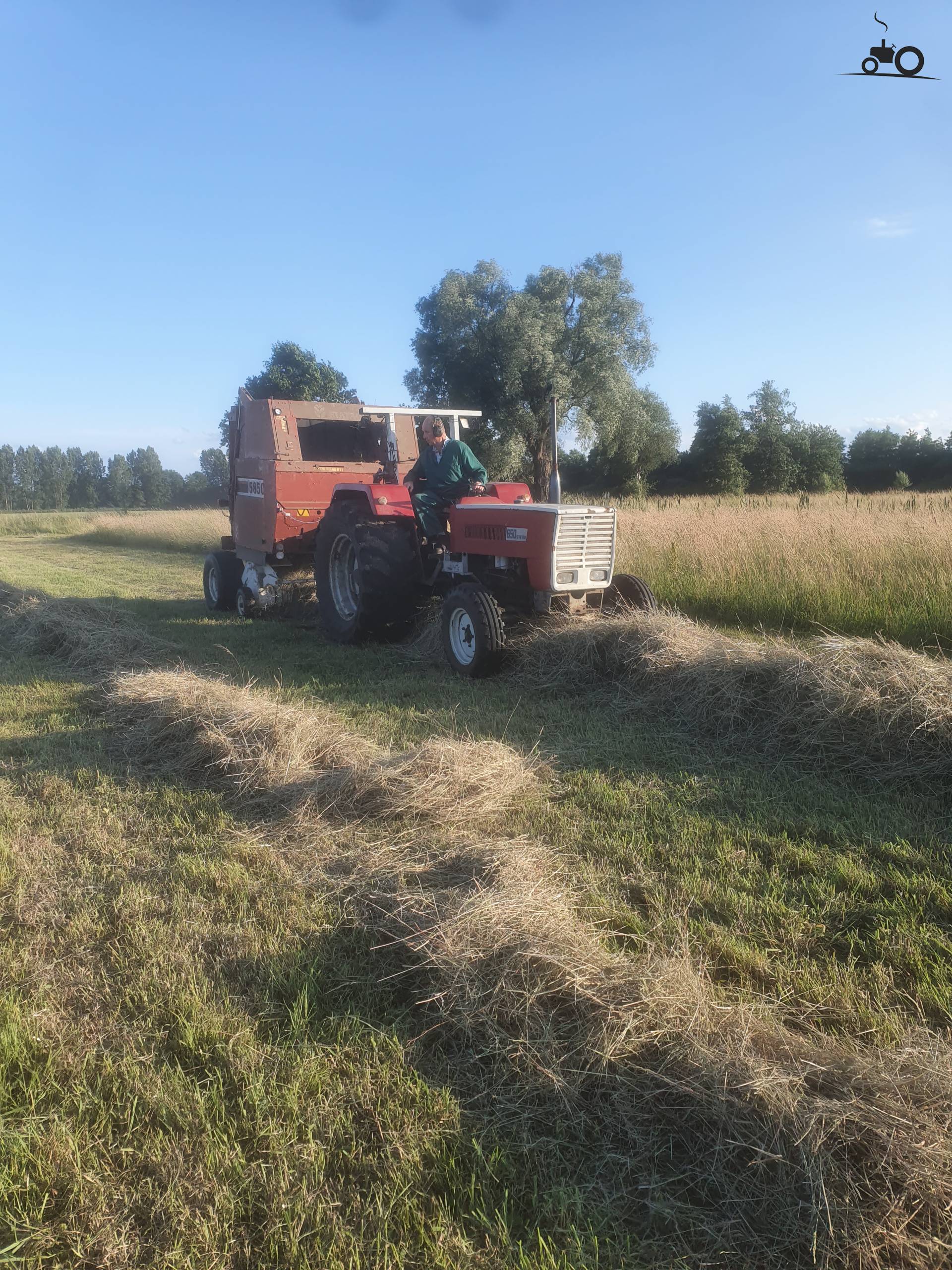 Steyr 650 - Schweiz - Traktor foto #1524976