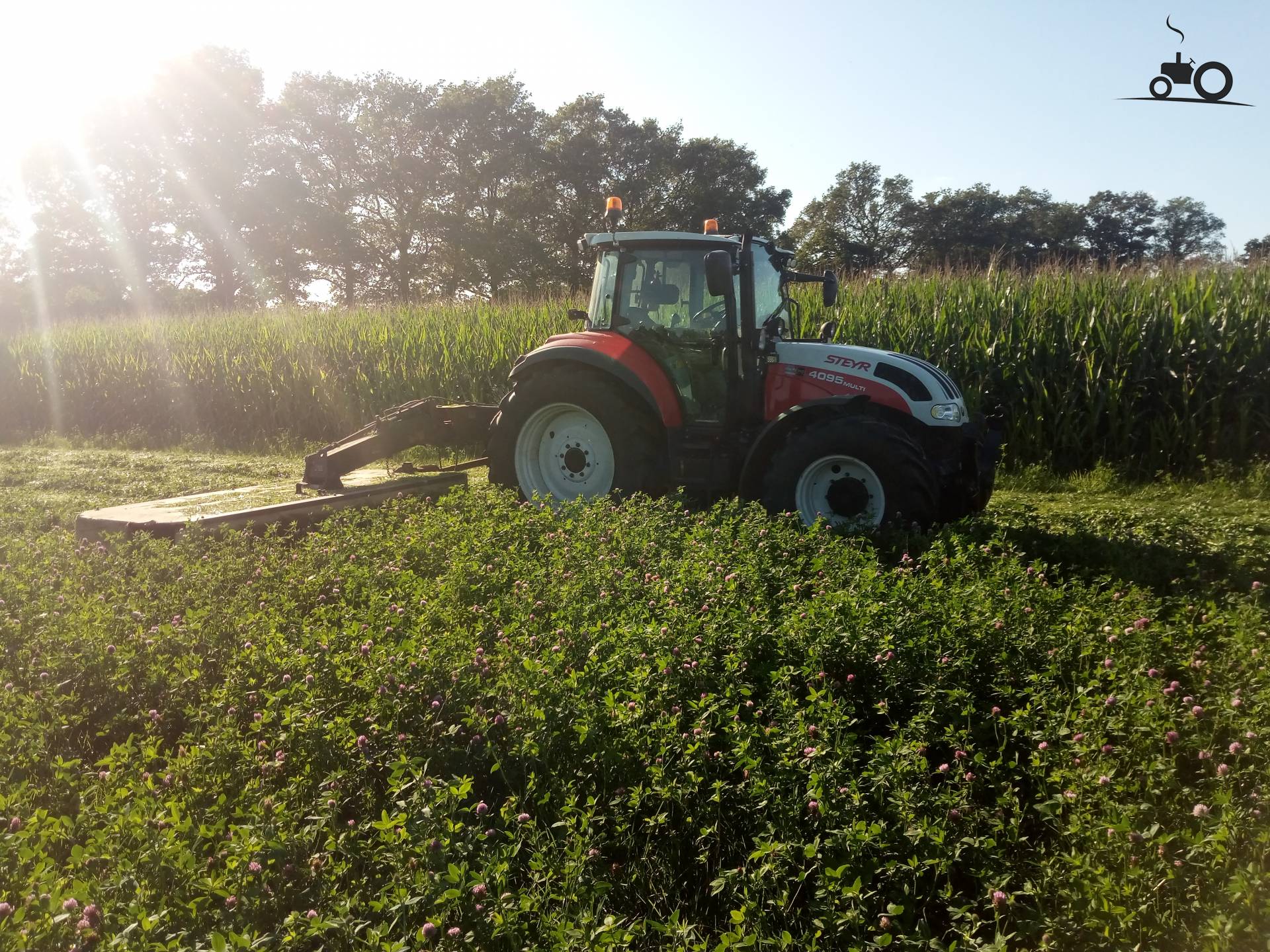 Foto Steyr Multi 4095 #1532258