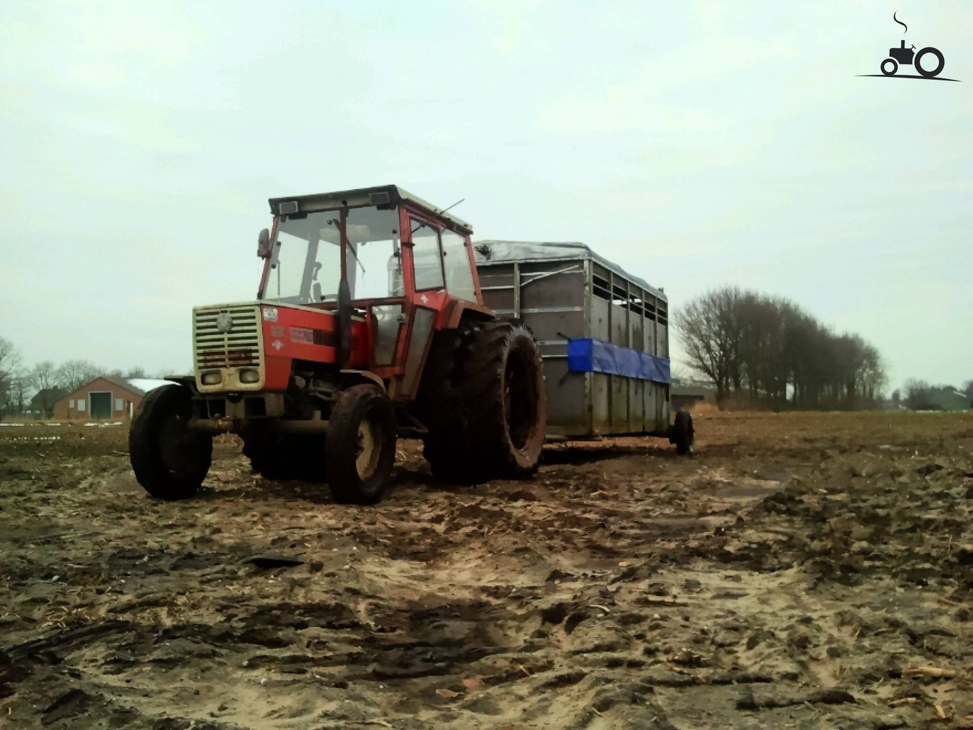 Foto Steyr 768 van Mts Selten