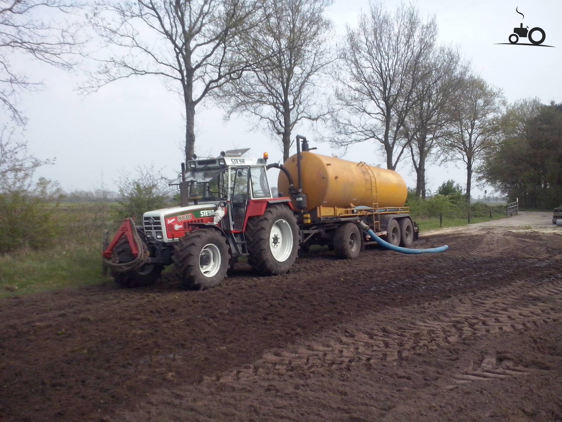 Steyr 8130 Turbo - Österreich - Traktor foto #841196