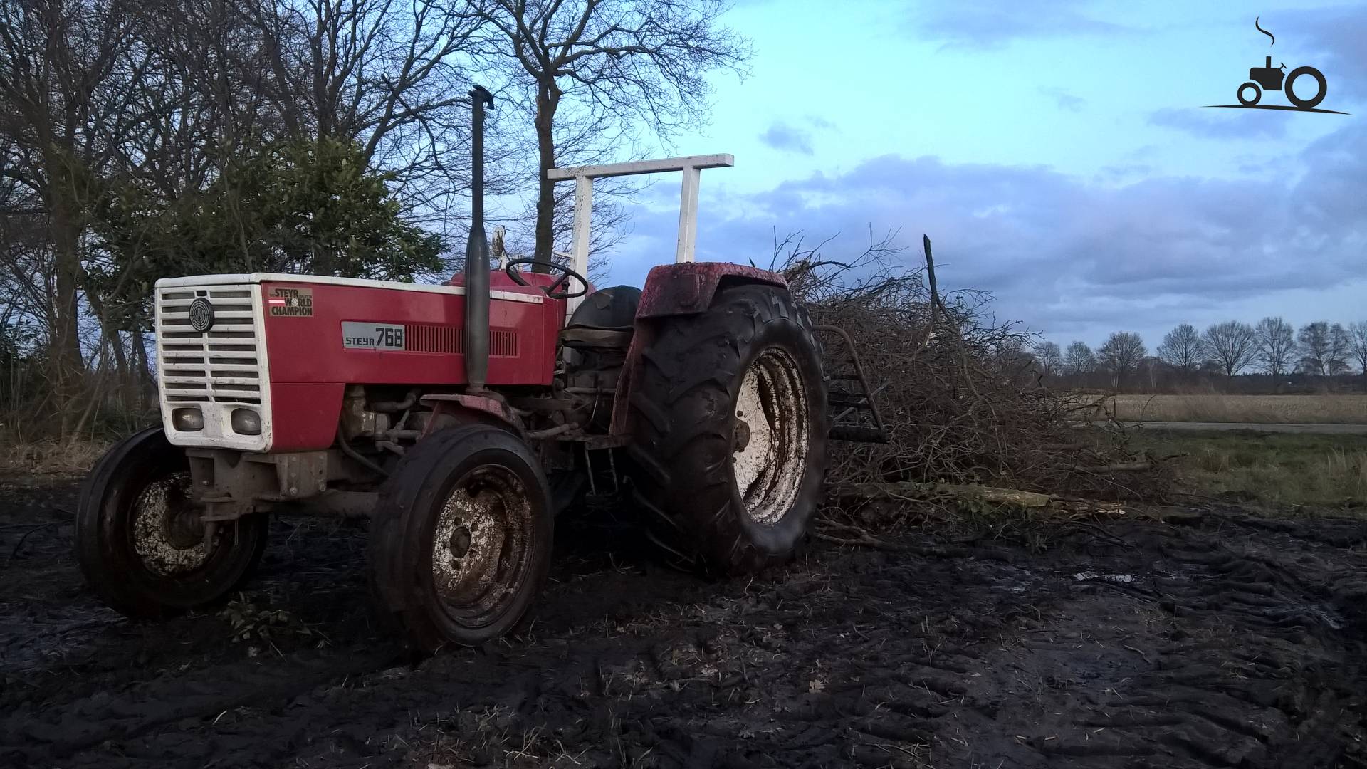 Foto Steyr 768 #956660