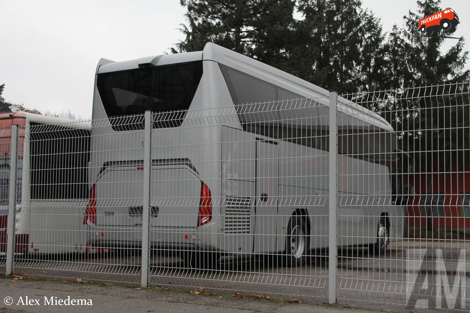 Foto TAM bus #1501376