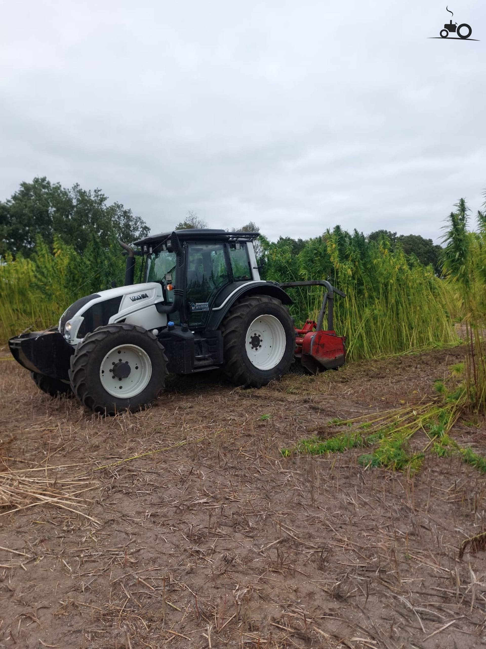 Foto Valtra N143 #1634799