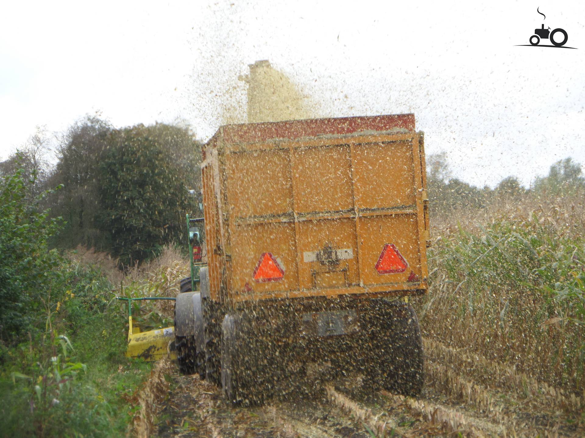 Foto Veenhuis Kipper van Van Den Hout