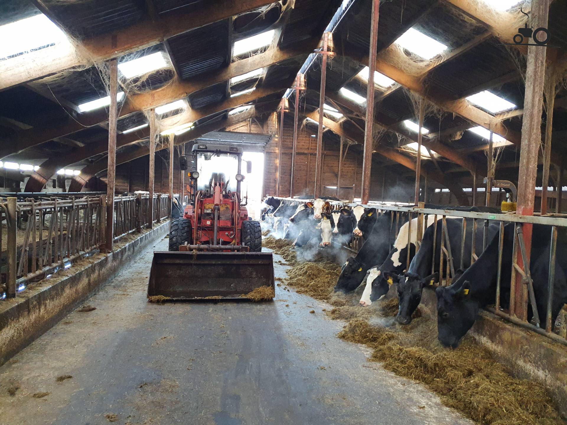 Venieri Shovel - Recente updates