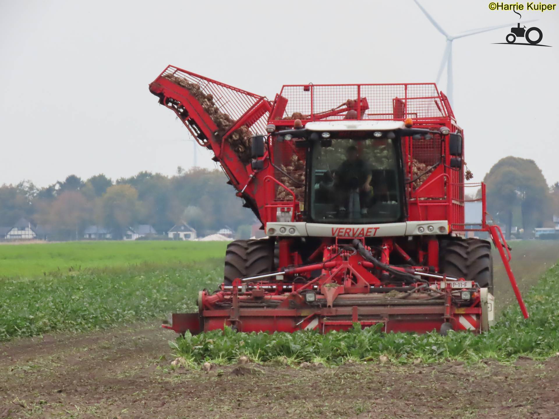 Foto Vervaet Beet Eater 925 #1496728