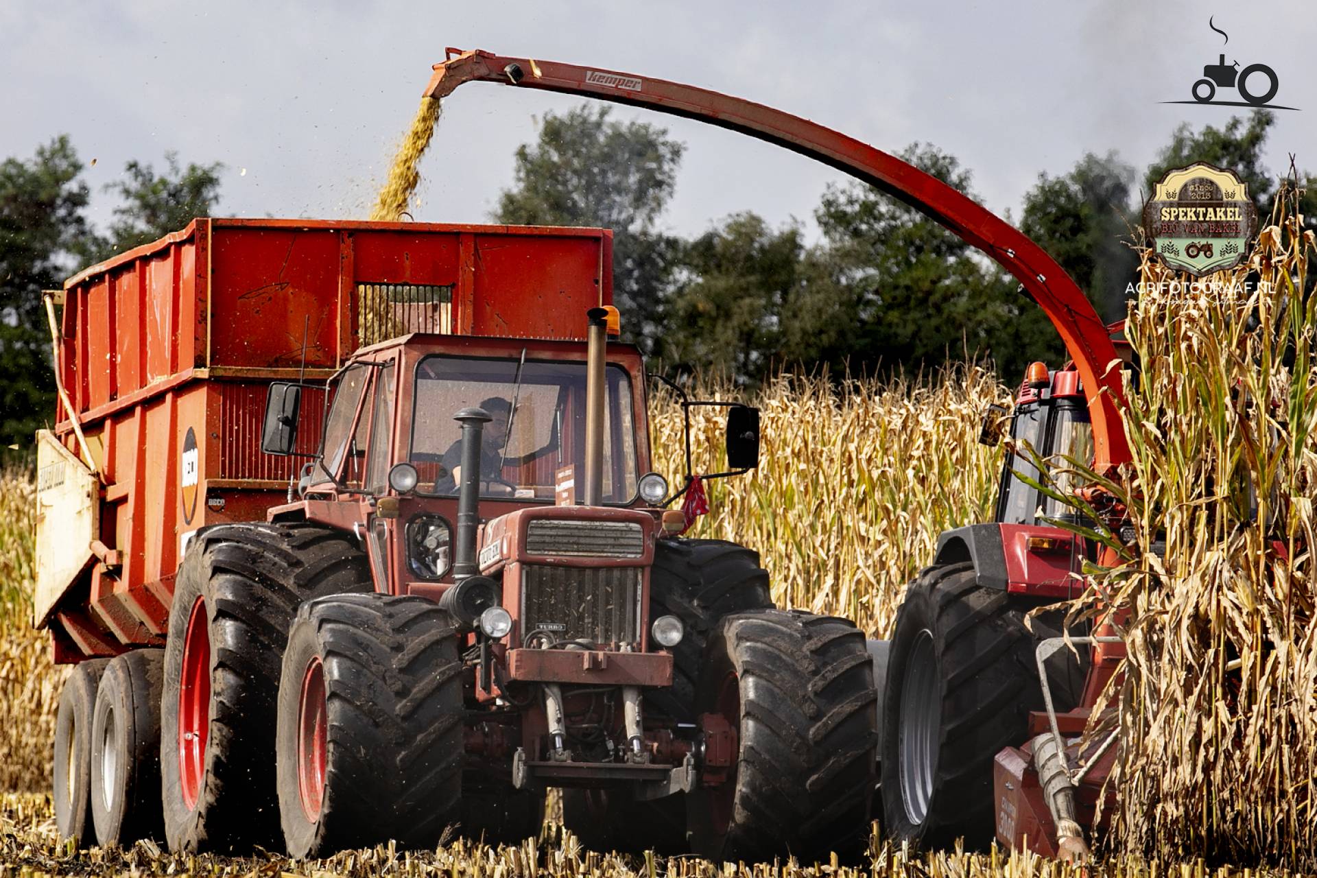 Foto Volvo BM 814 van Van Donkersgoed BV