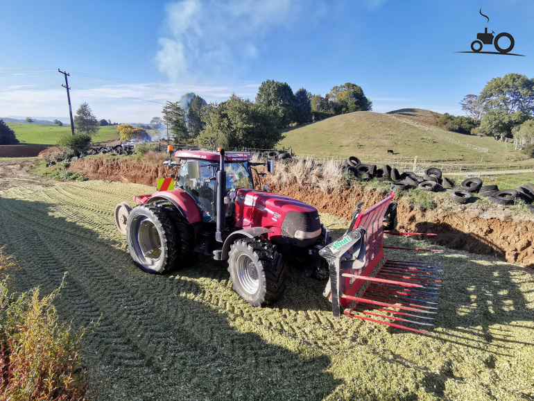 Foto Case IH Puma 195 CVX #1516837