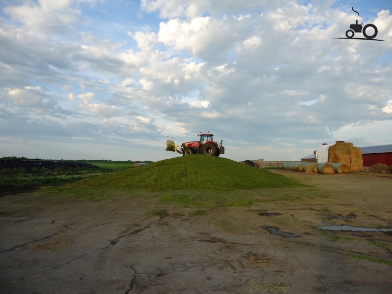 Foto Case IH Magnum 335 #688557