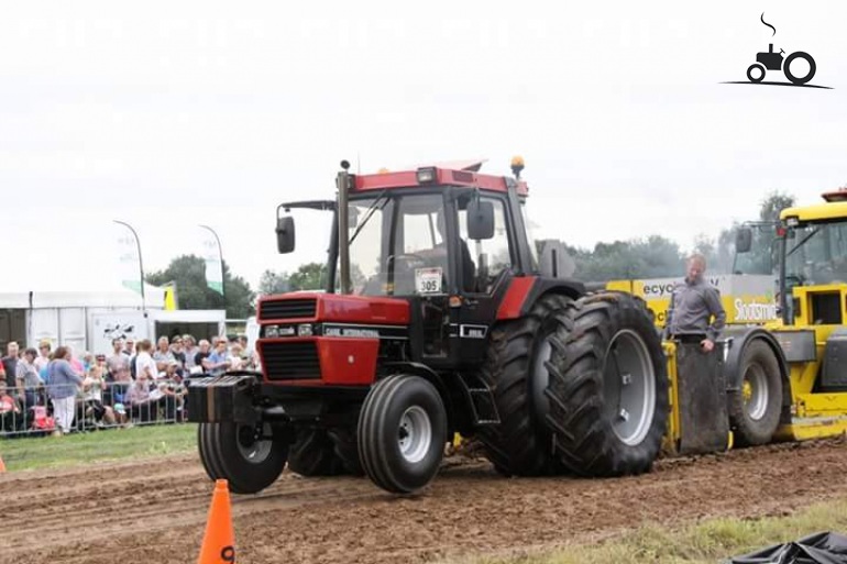Foto Case International 856 XL van Loon en Melkvee Bedrijf Stegers