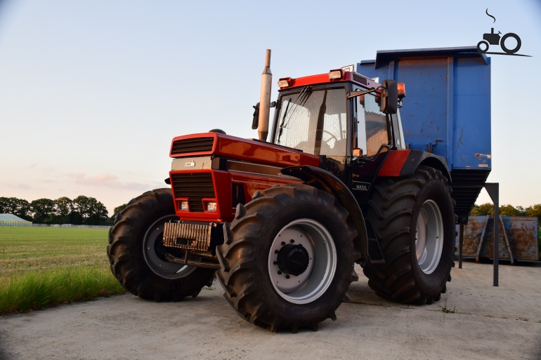 Case International 1455 XL - Österreich - Traktor foto #1304102